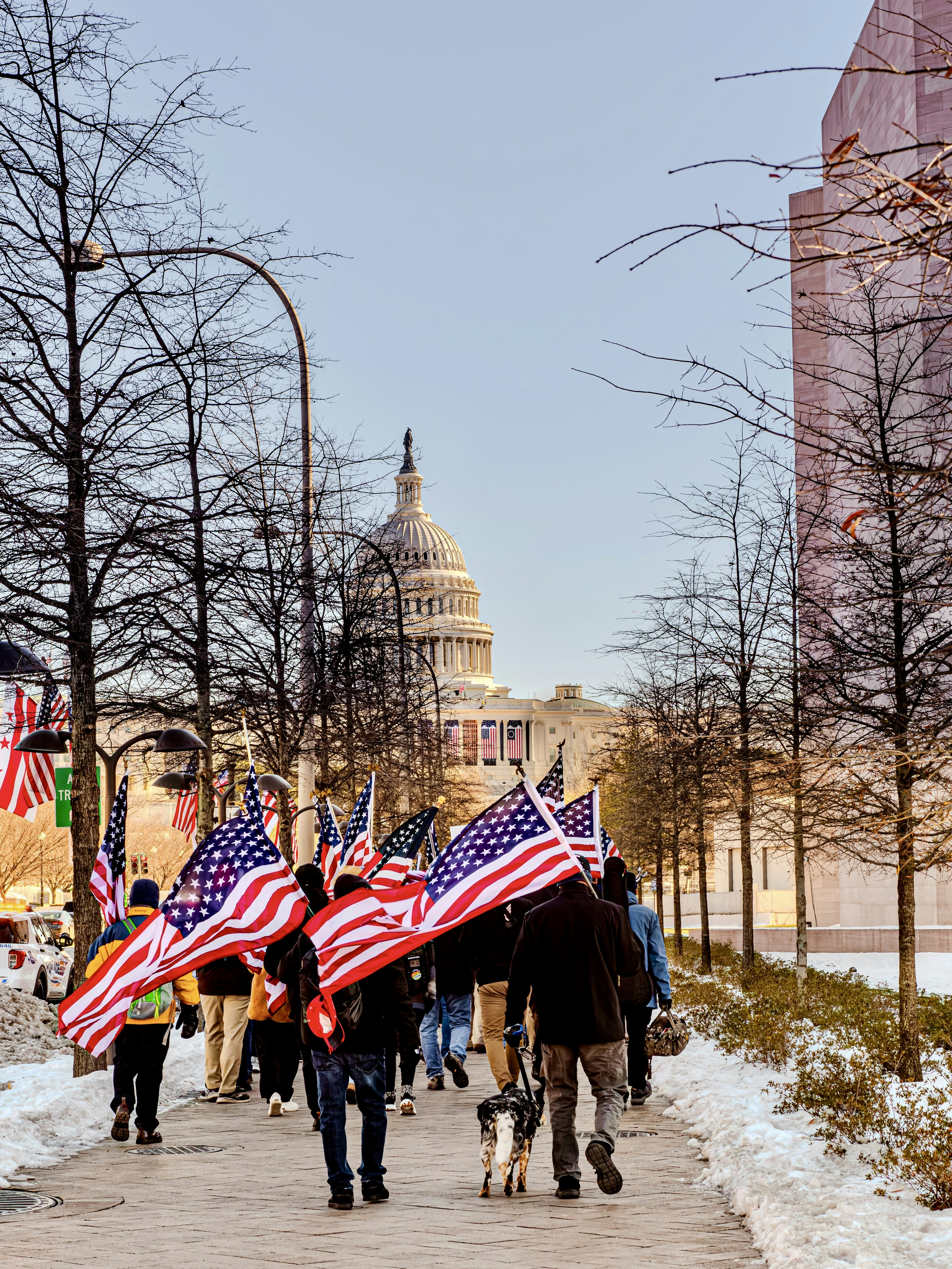 Crowd of individuals carrying American flags while walking towards the Capitol building, framed by winter trees along a snowy pathway.