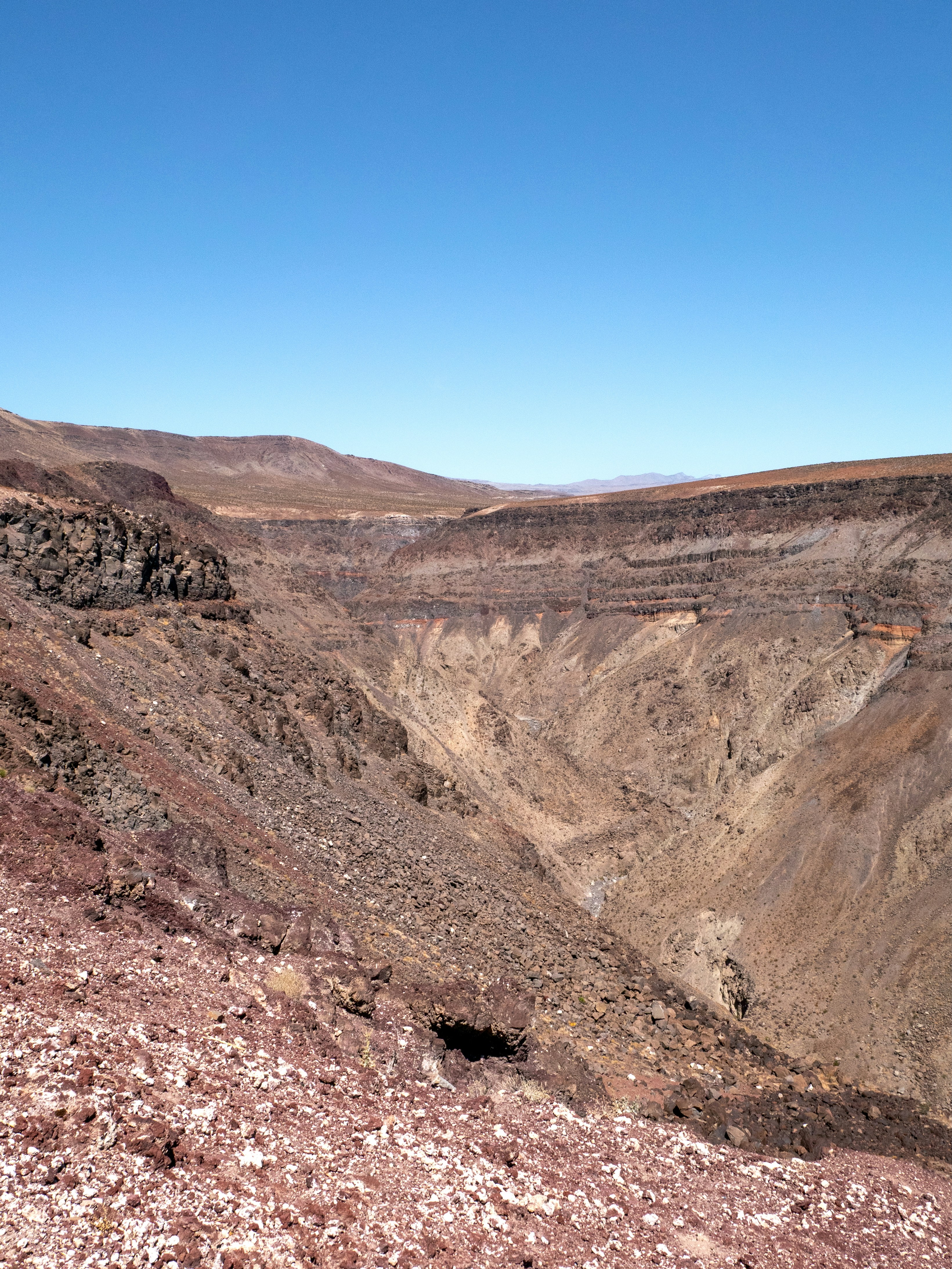 Vast desert canyon under a clear blue sky