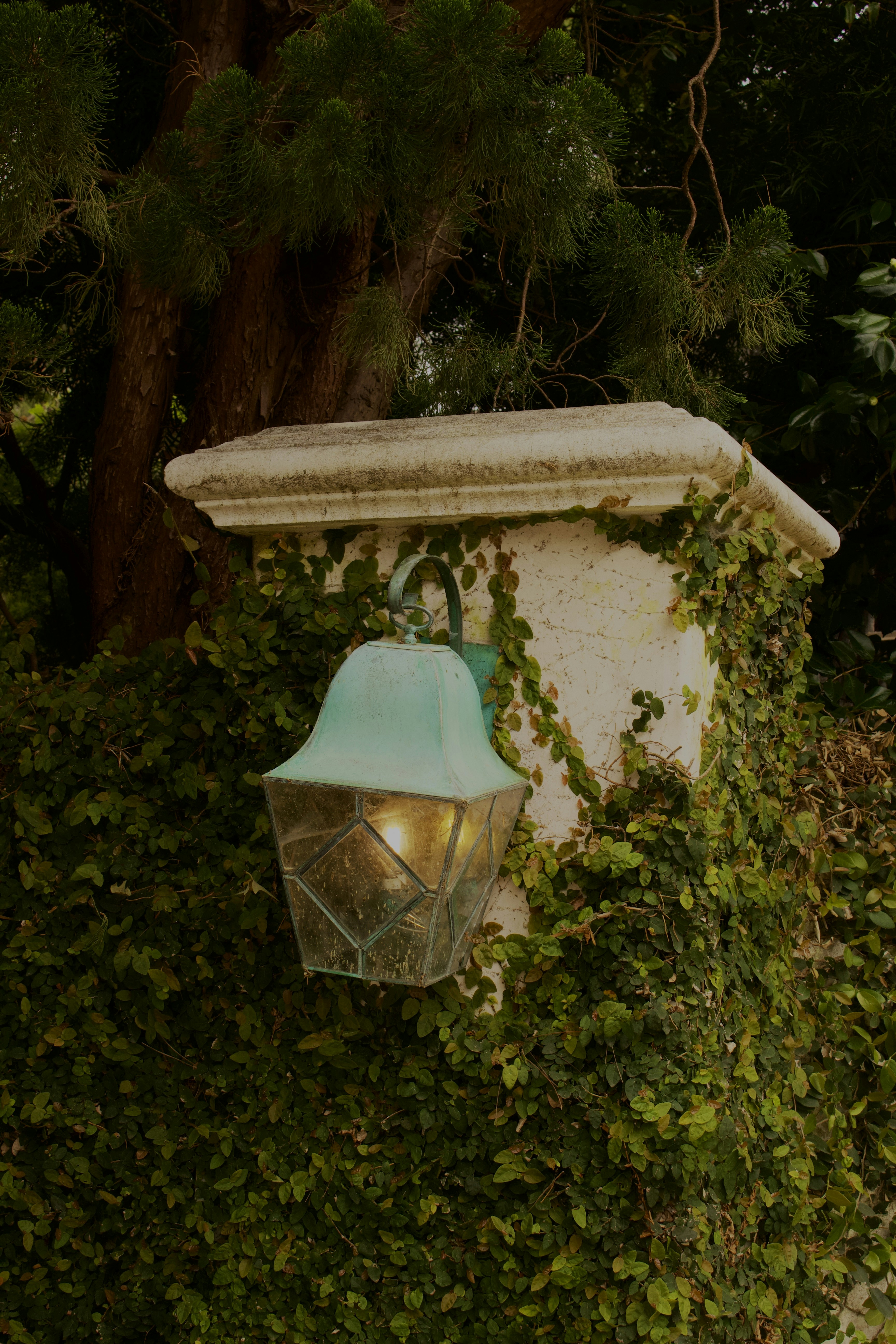 Whispers of Time: The Lantern's Embrace