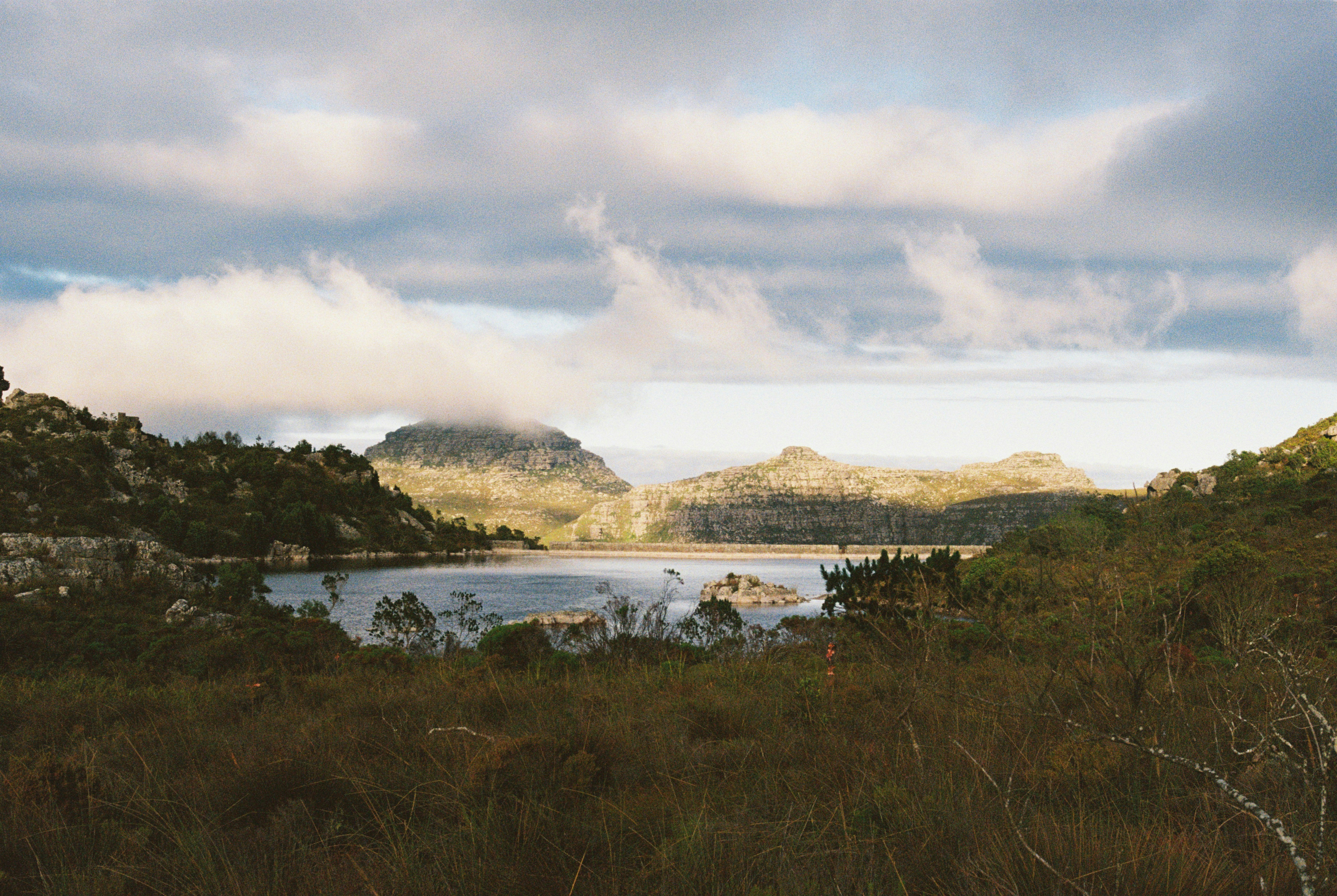 Whispers of the Wilderness: A Tranquil Lake Scene