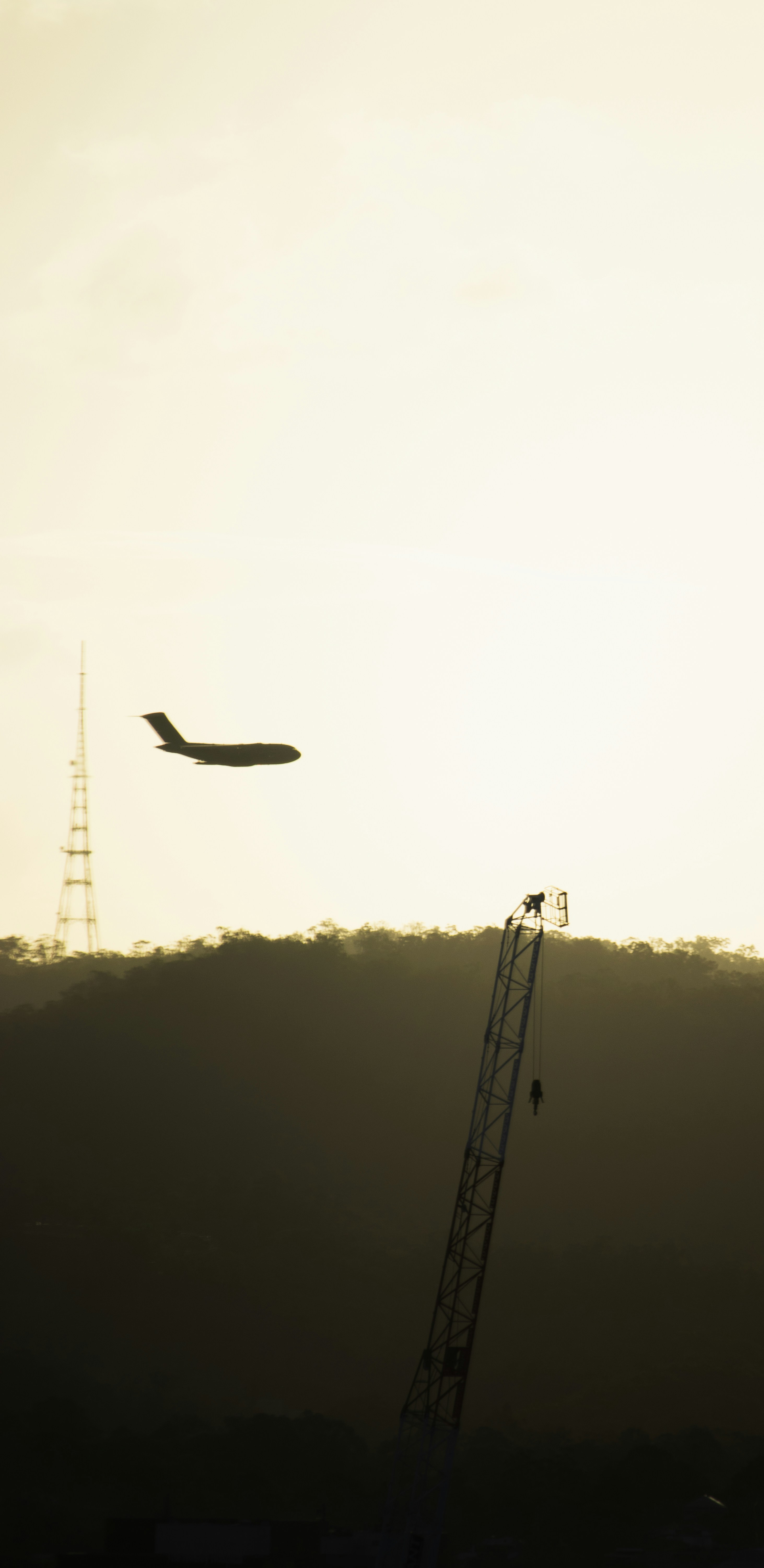 A Dance of Heights: Plane and Crane in Silhouette