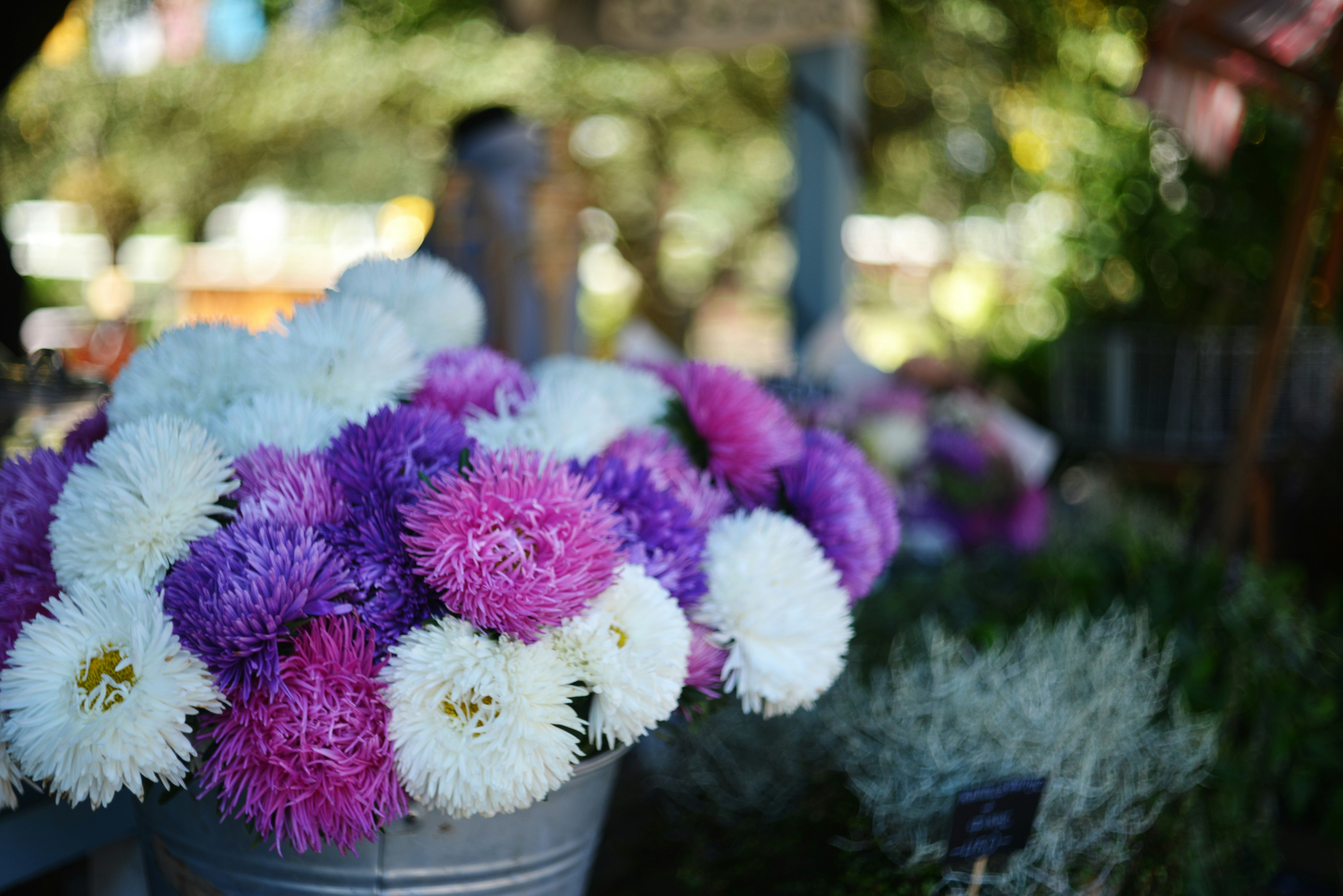 A Symphony of Blooms: The Market's Floral Display
