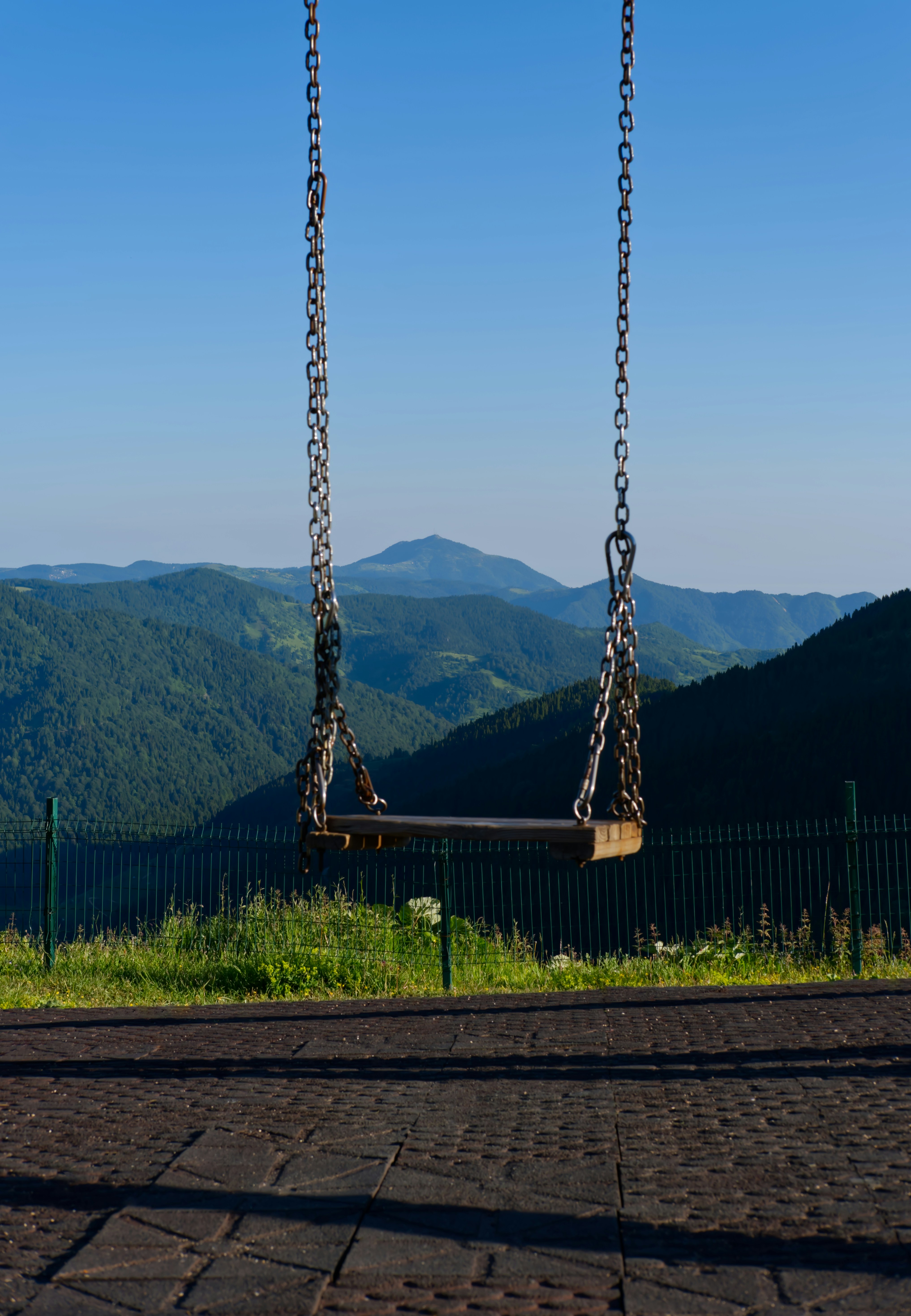 A Swing Between Worlds: Nature Meets Nostalgia
