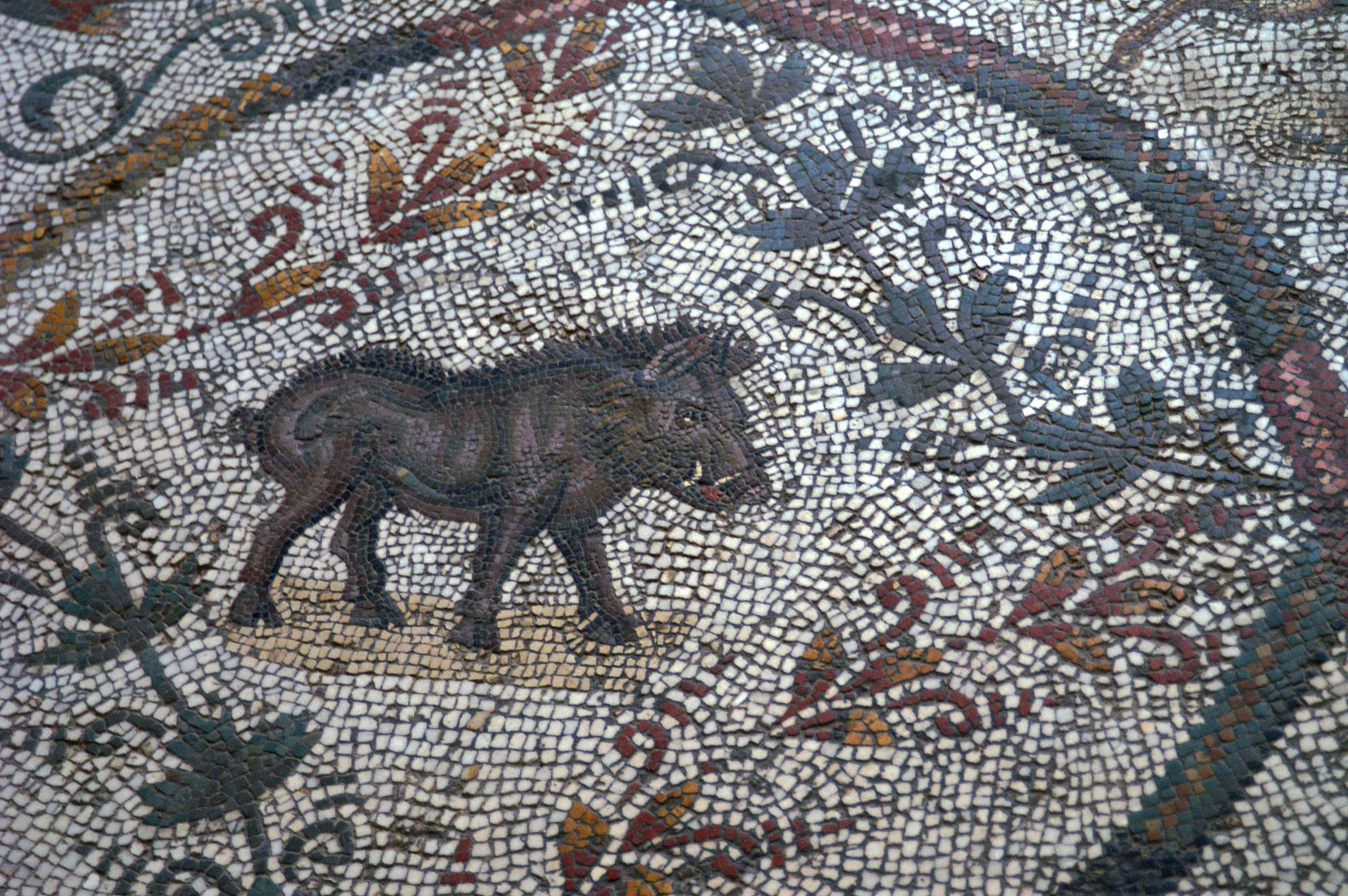 Ancient mosaic depicting a wild boar among leaves.