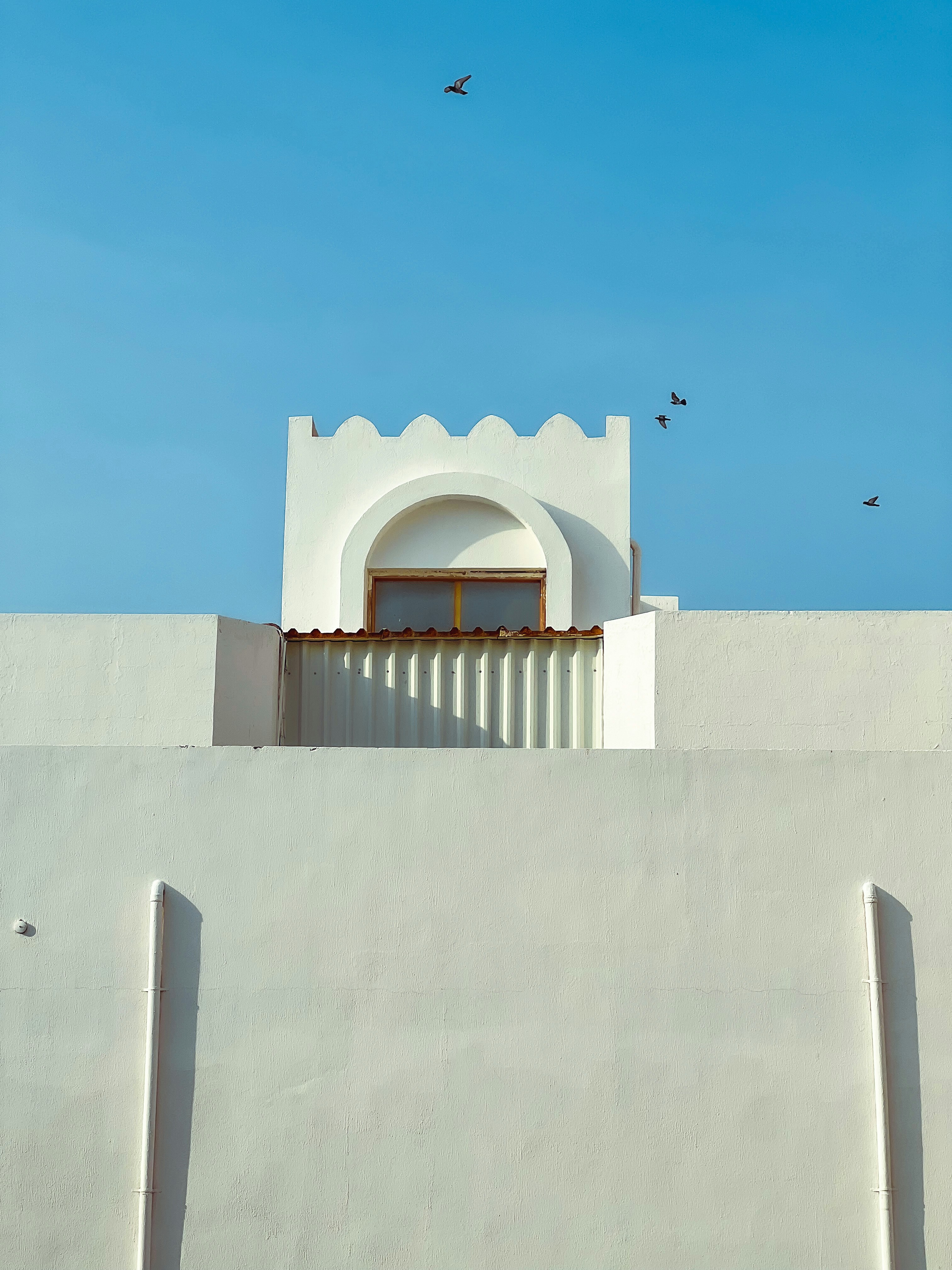 White building with arched window and birds flying. photo – Free Oman ...
