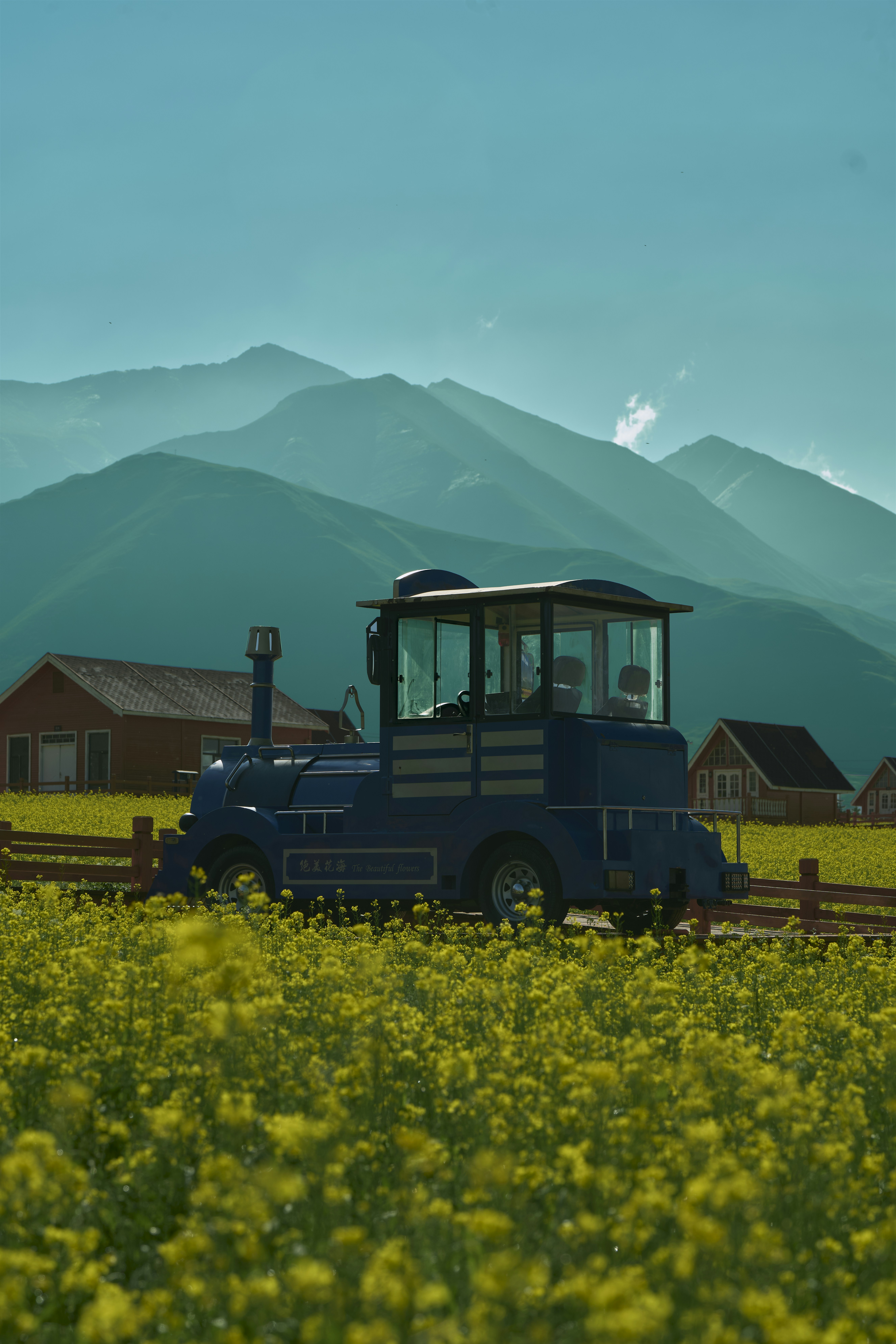 The Blue Engine Amidst Golden Blooms