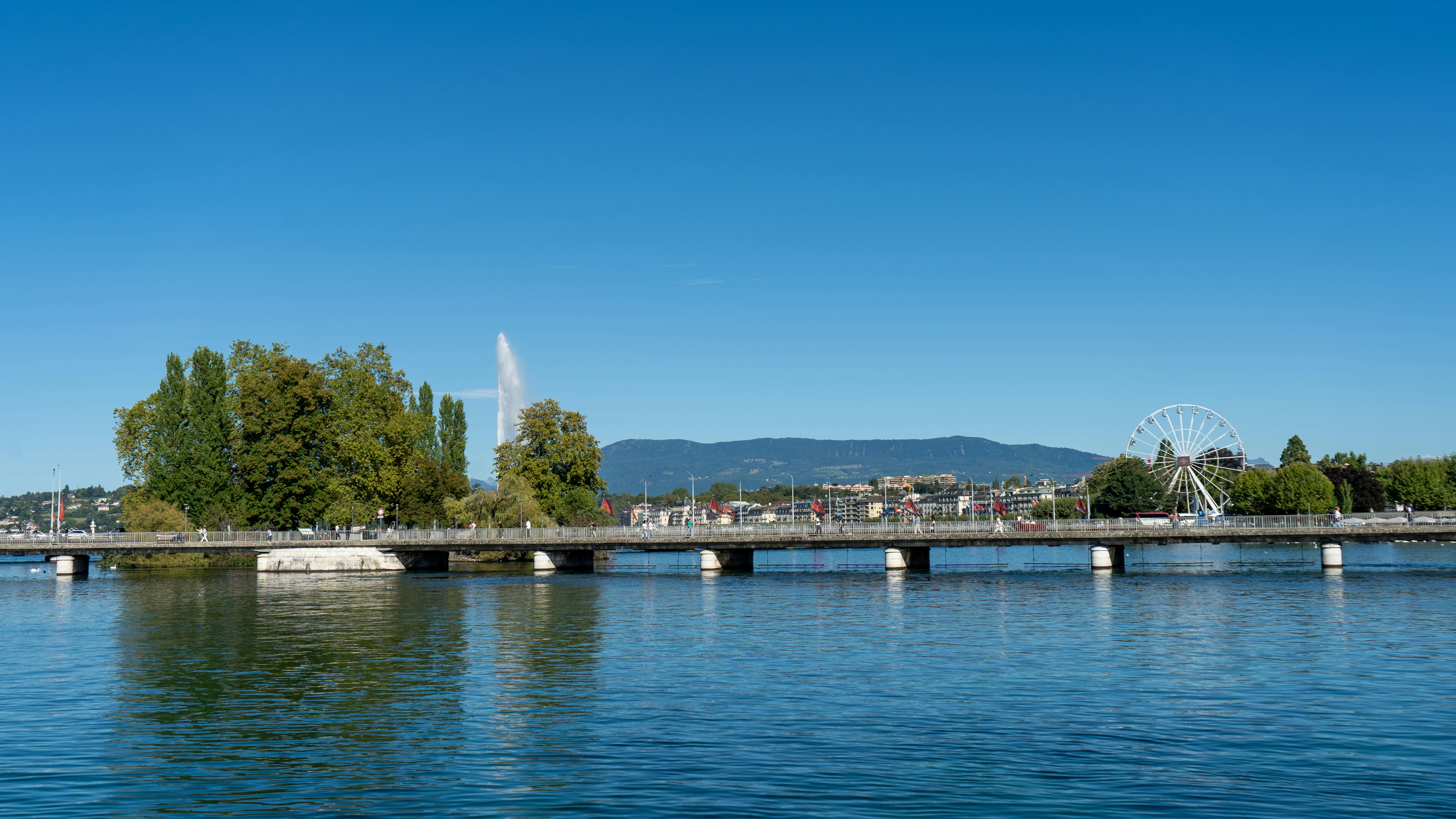 Reflections of Serenity: A Day by the Water