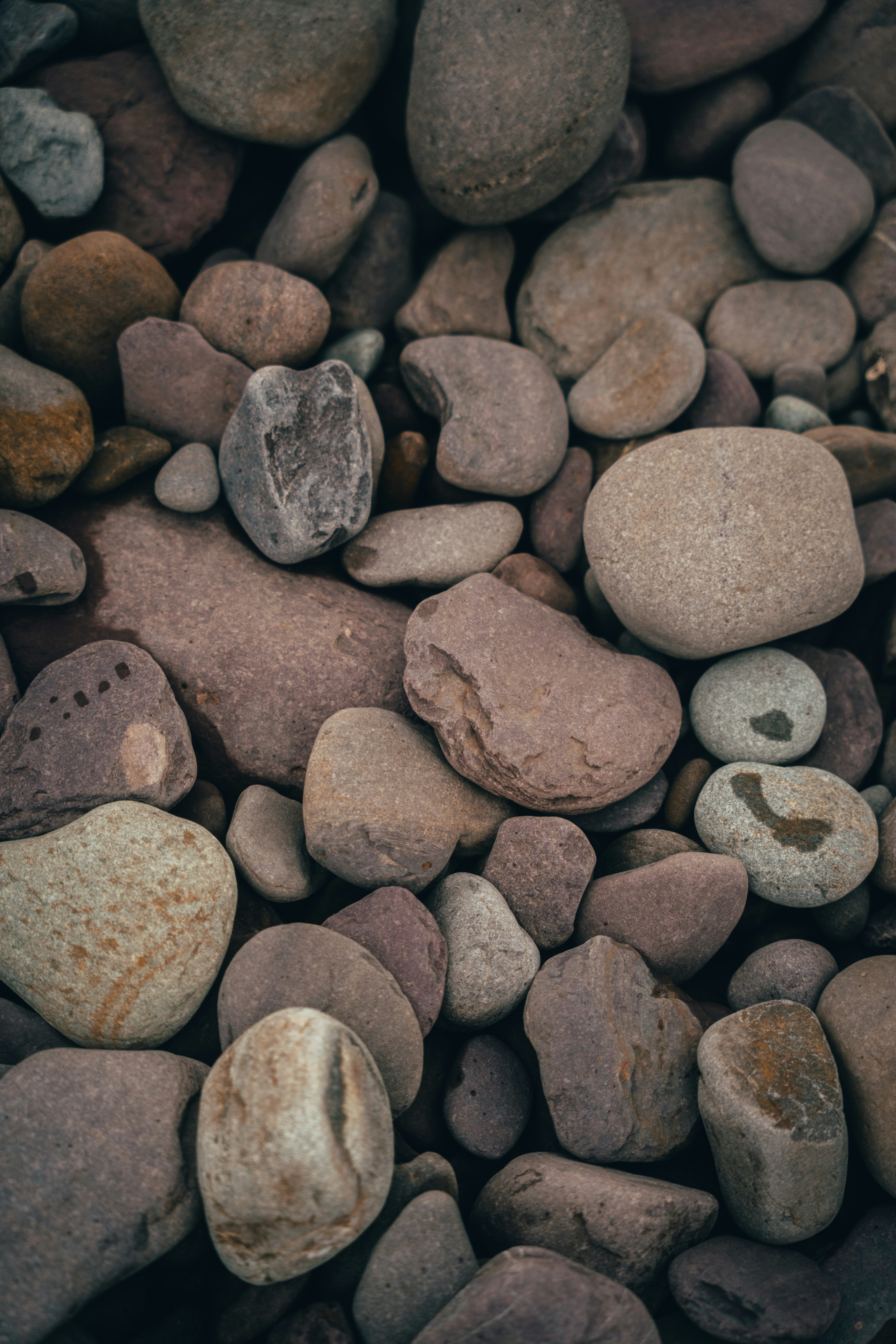 A close-up of smooth, rounded stones on a beach.