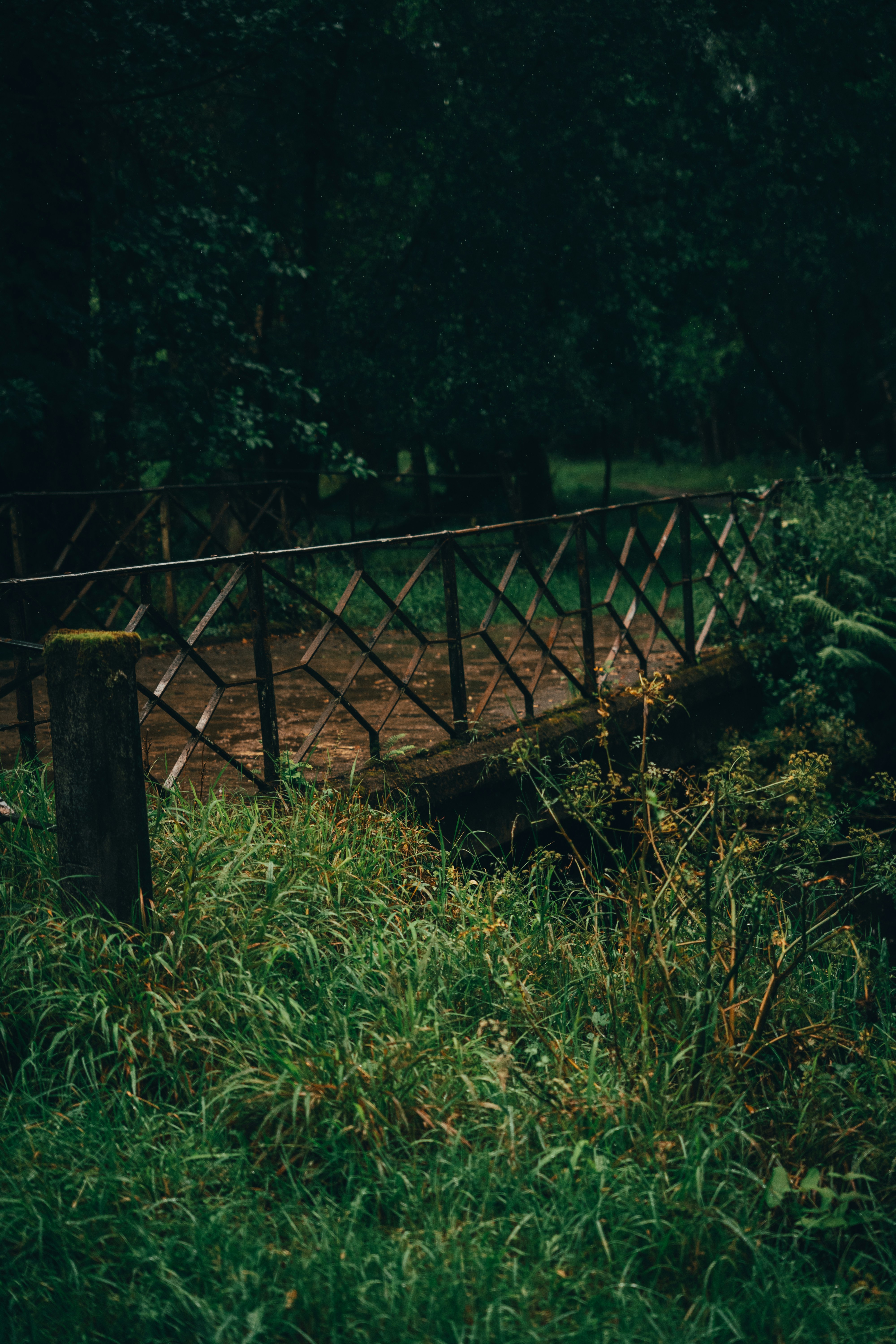 An old bridge covered in lush green foliage.