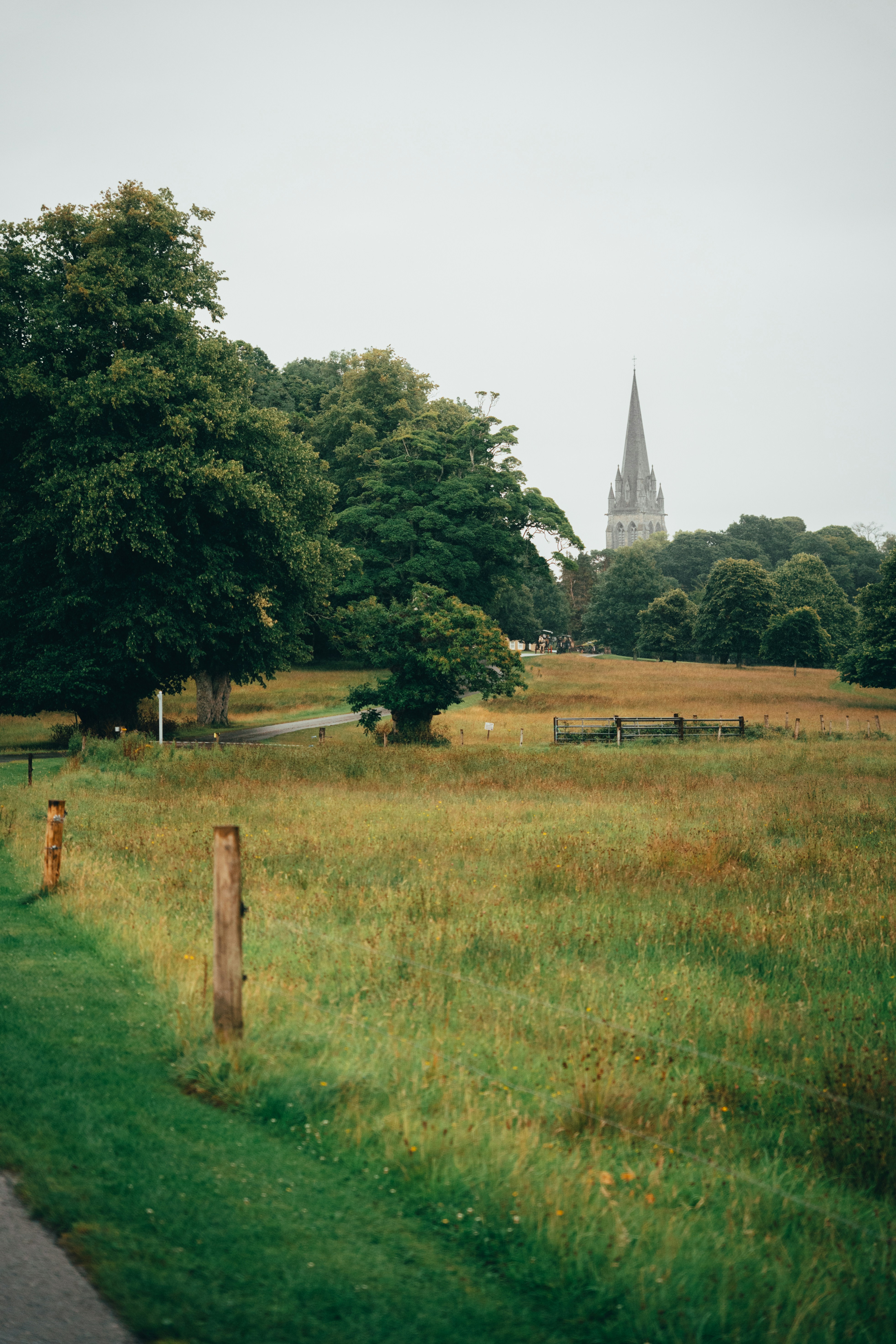 A church spire rises above trees in a grassy field.
