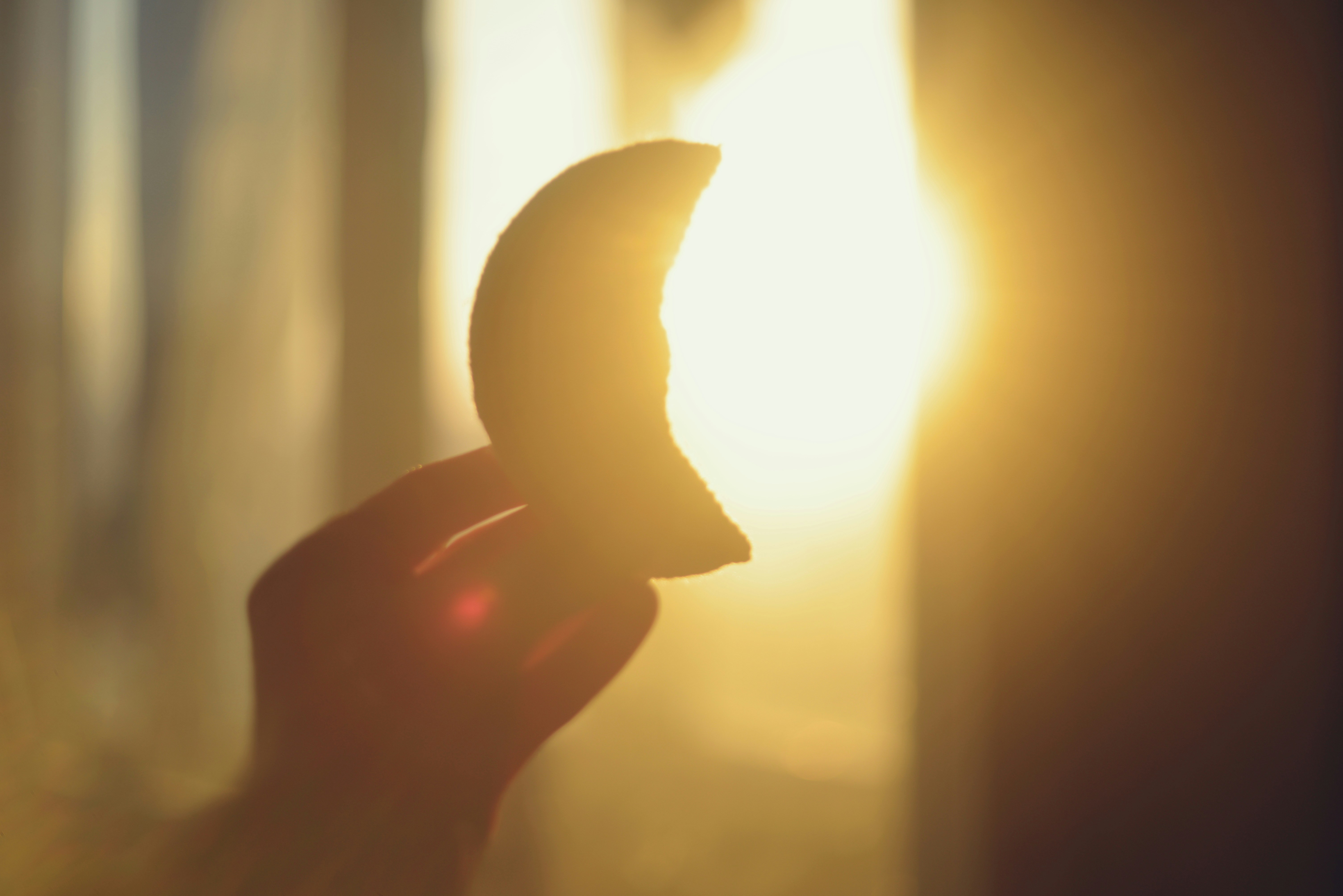 Whispers of the Dawn: A Lunar Snack
