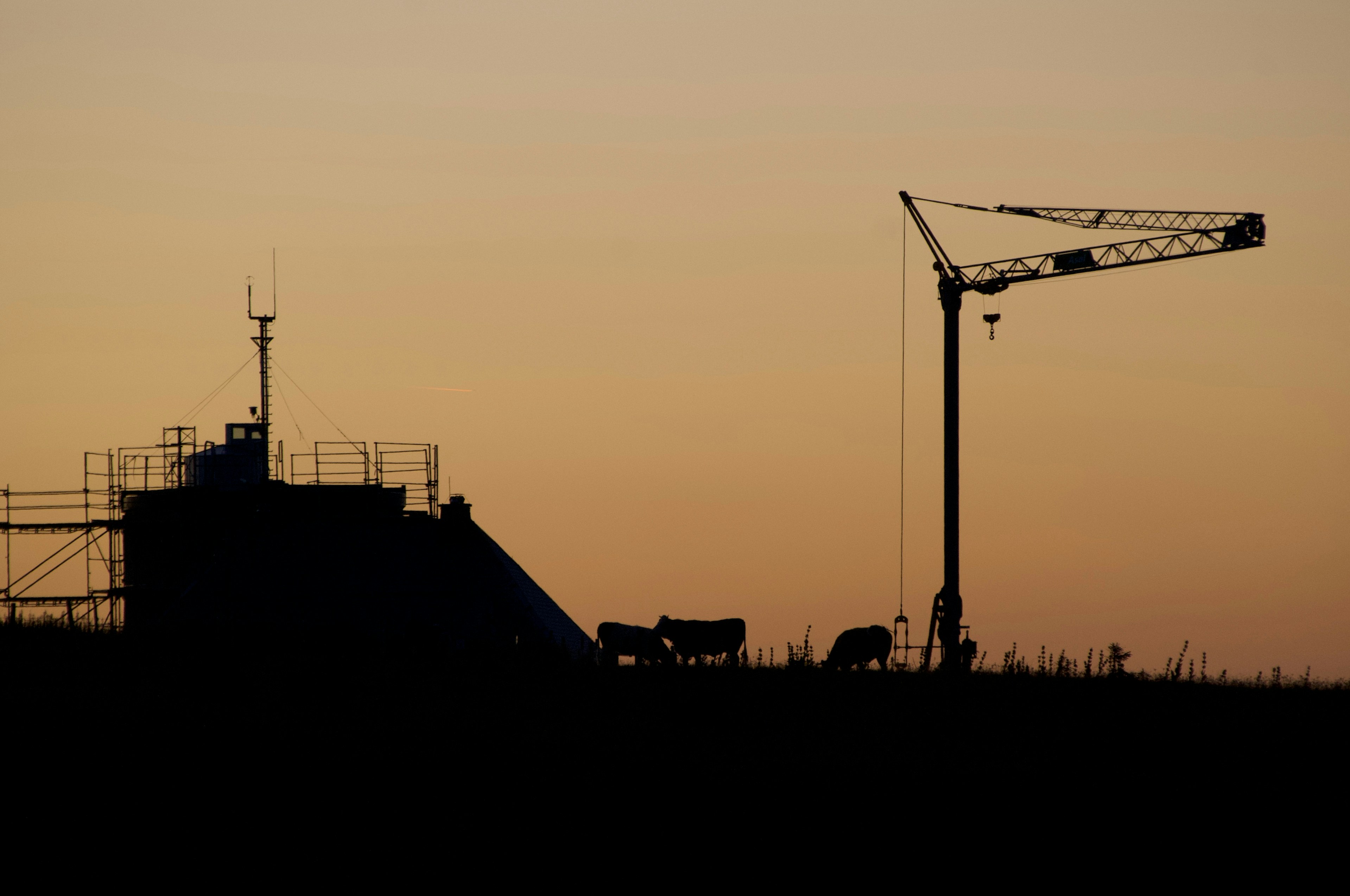 Silhouettes at Dusk: A Harmony of Industry and Nature