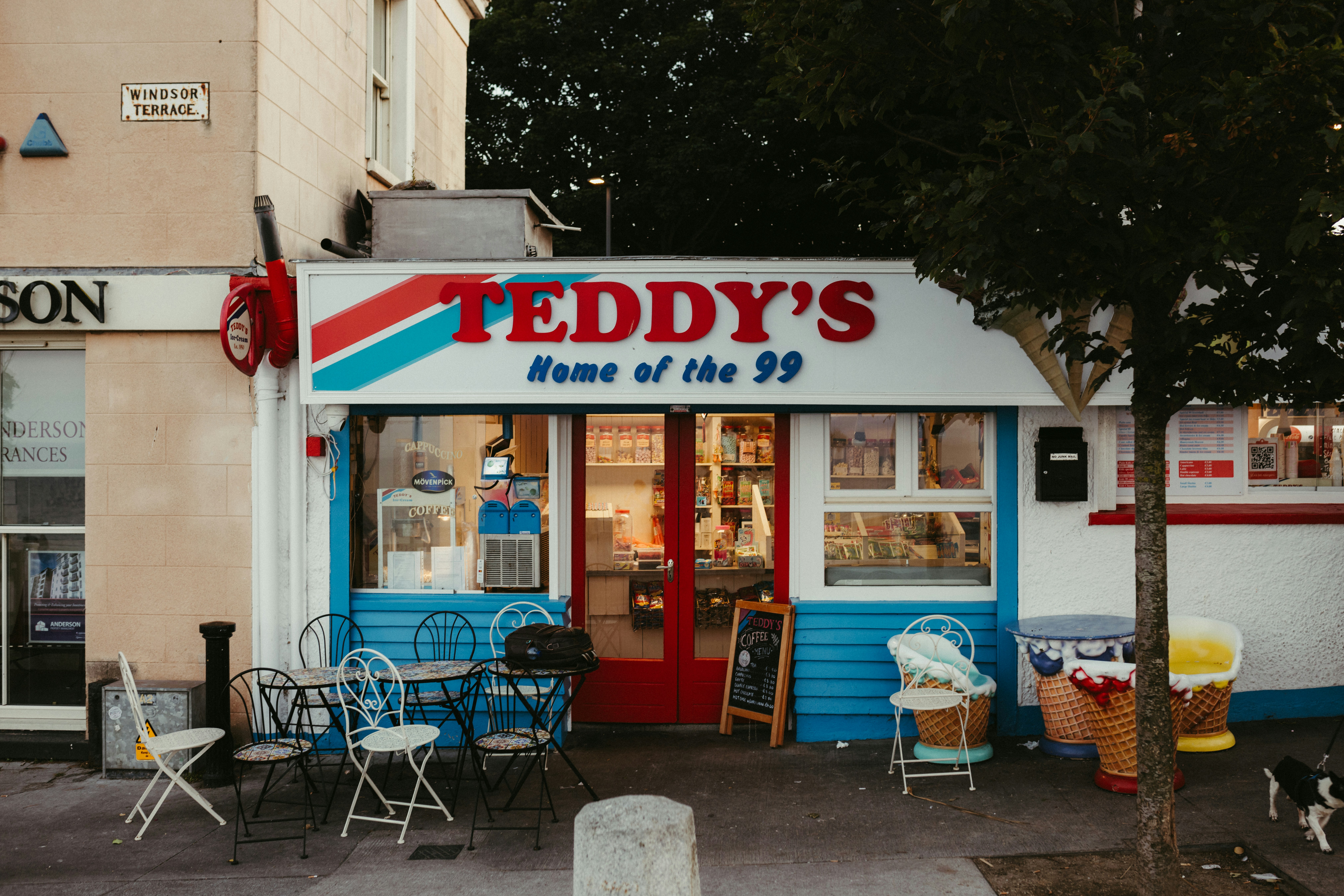 Teddy's Delight: A Sweet Haven