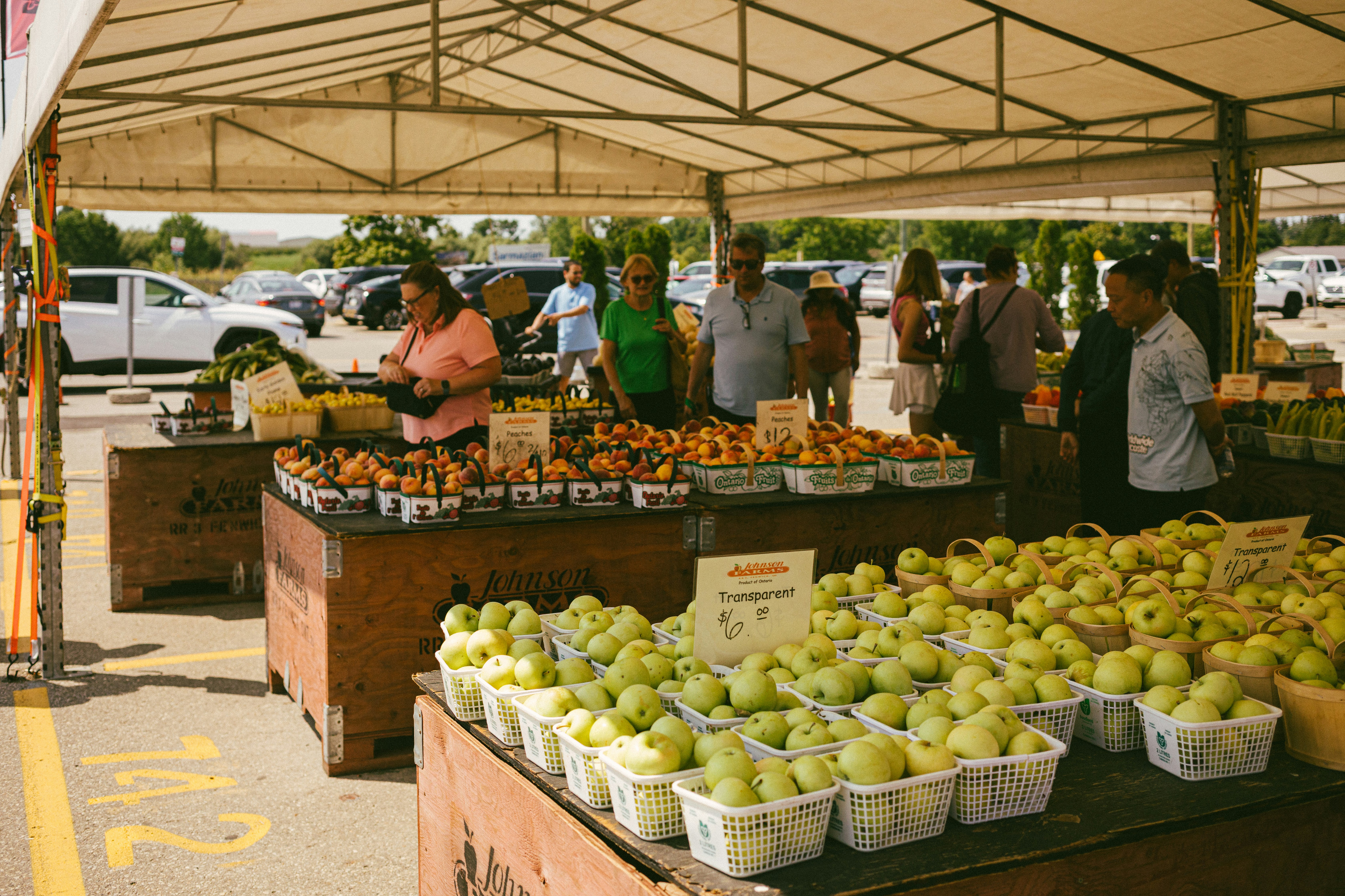 Photo by Jason Ng with Canon EOS R