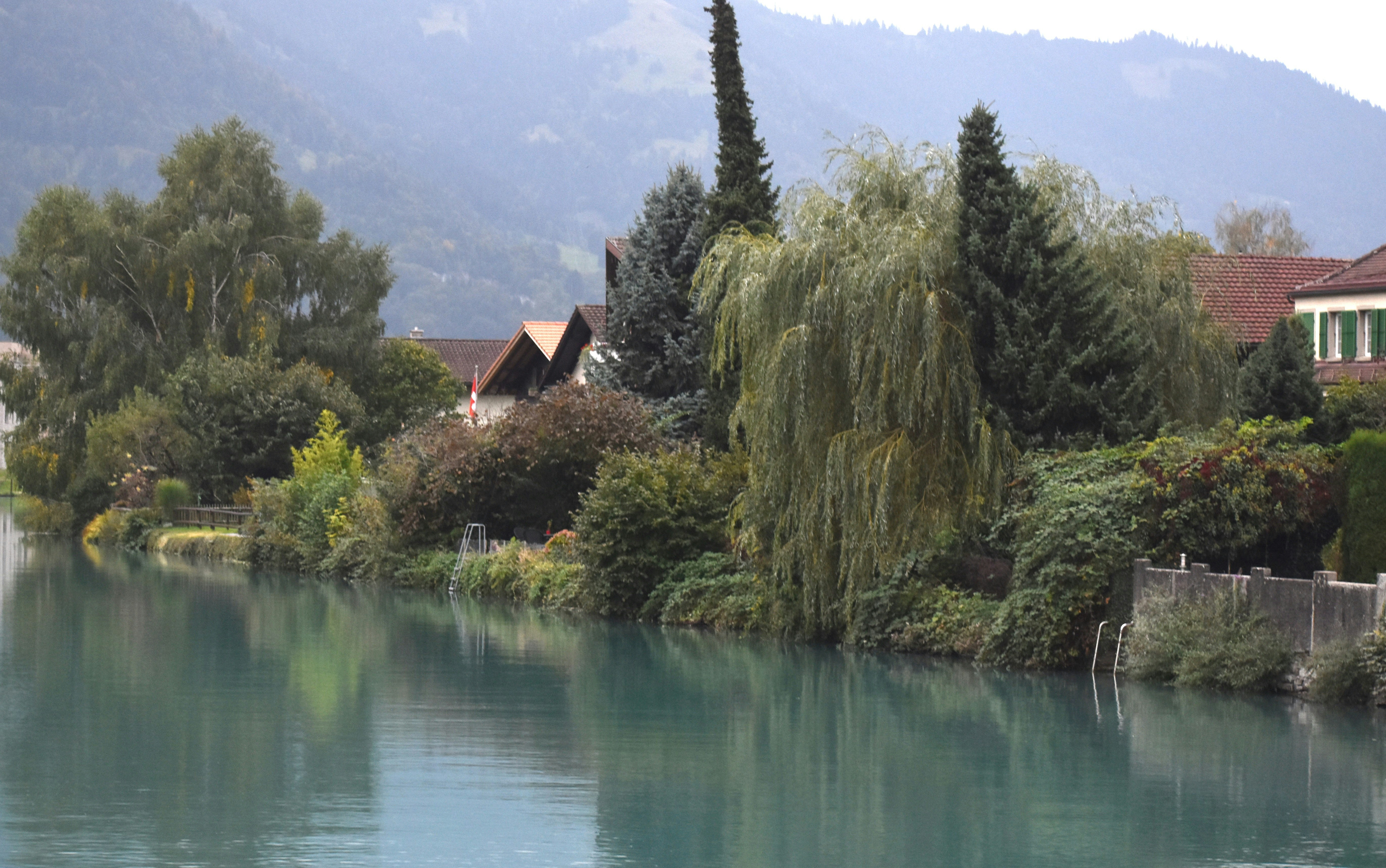 Interlaken, Lake Thun | Green trees line a calm blue river with houses.