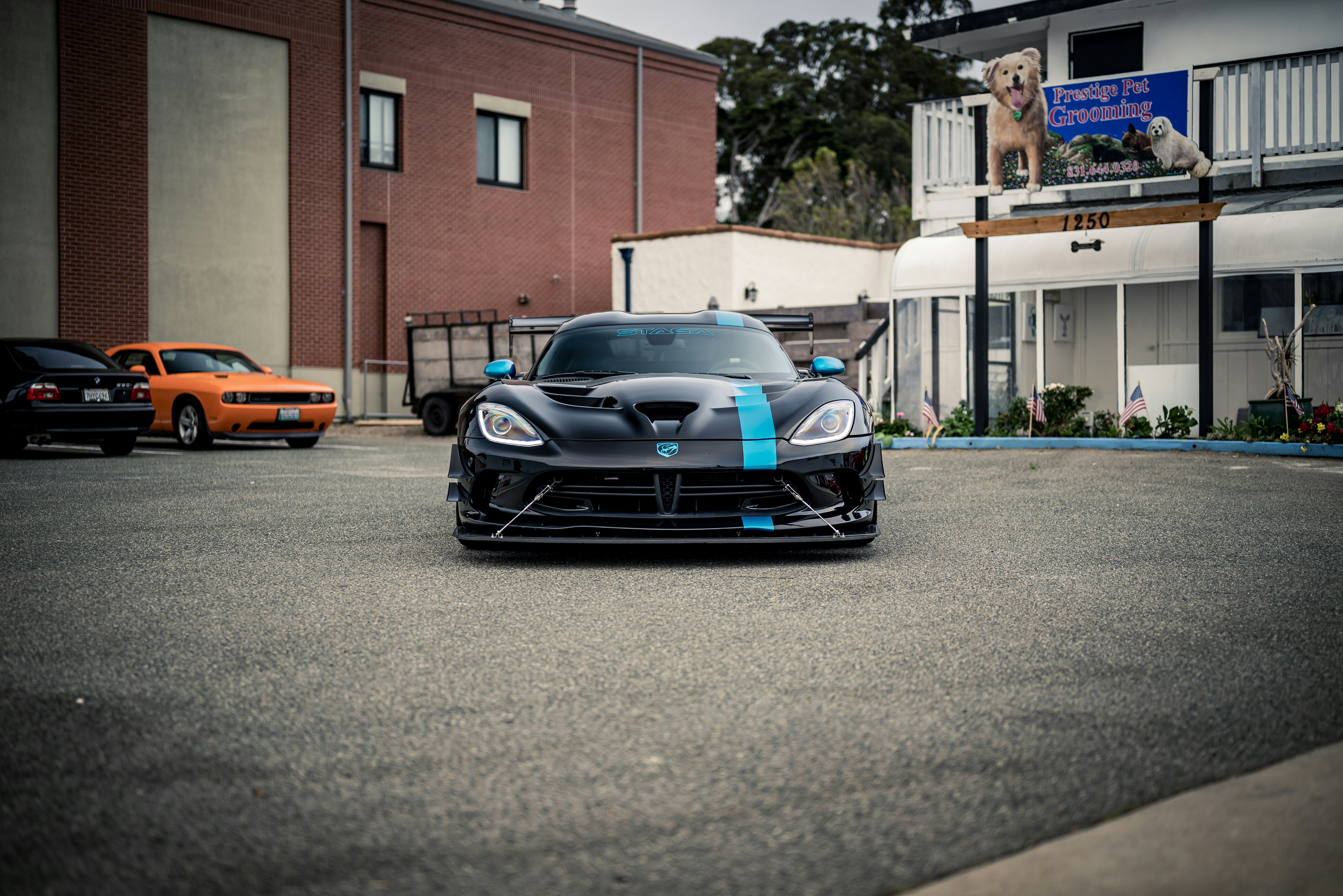 The Bold Racer: A Fusion of Power and Precision