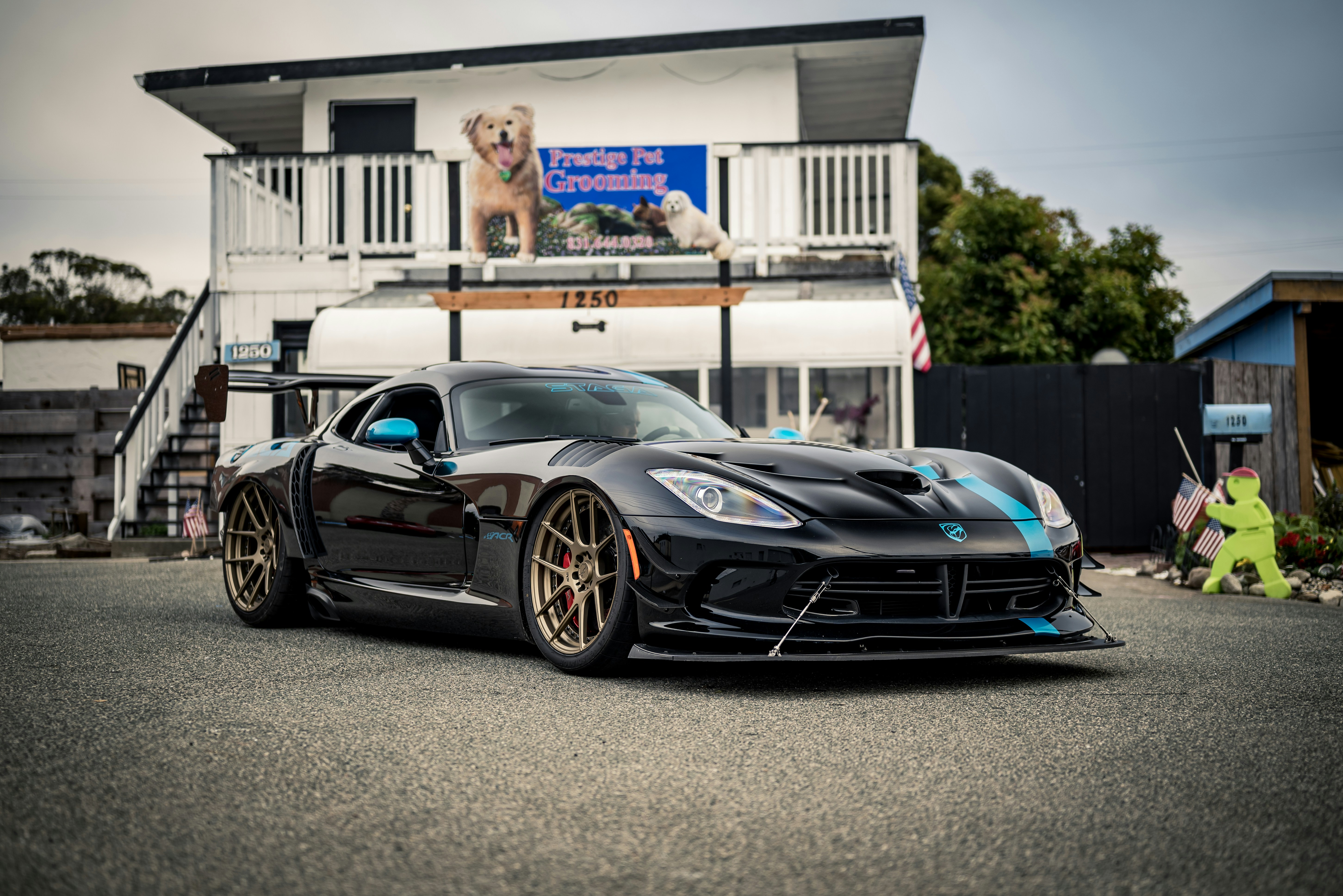 Noir Sports Coupe Under a Dog-Poster Backdrop