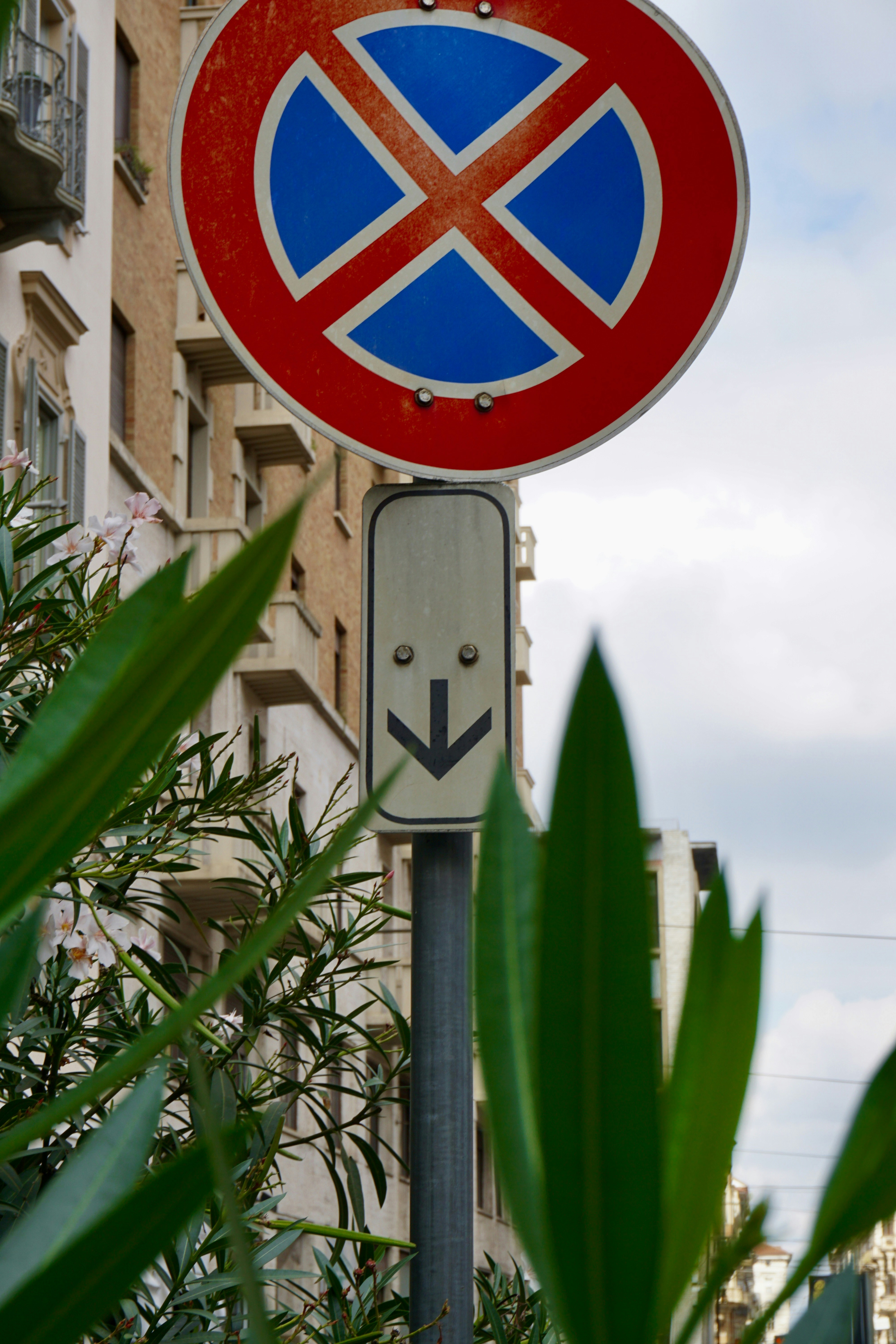No parking sign with arrow pointing down
