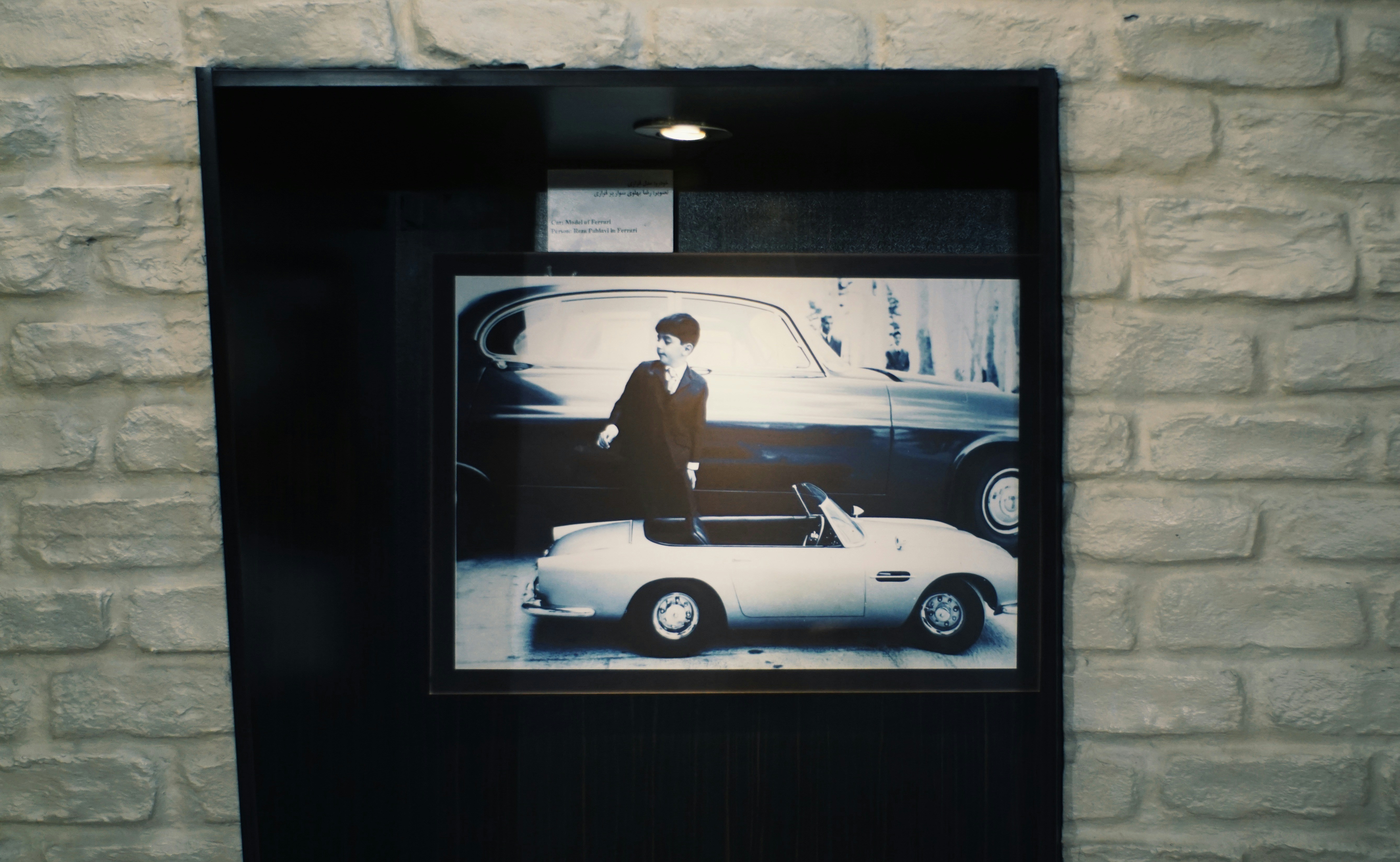 A Playful Encounter with Vintage Elegance