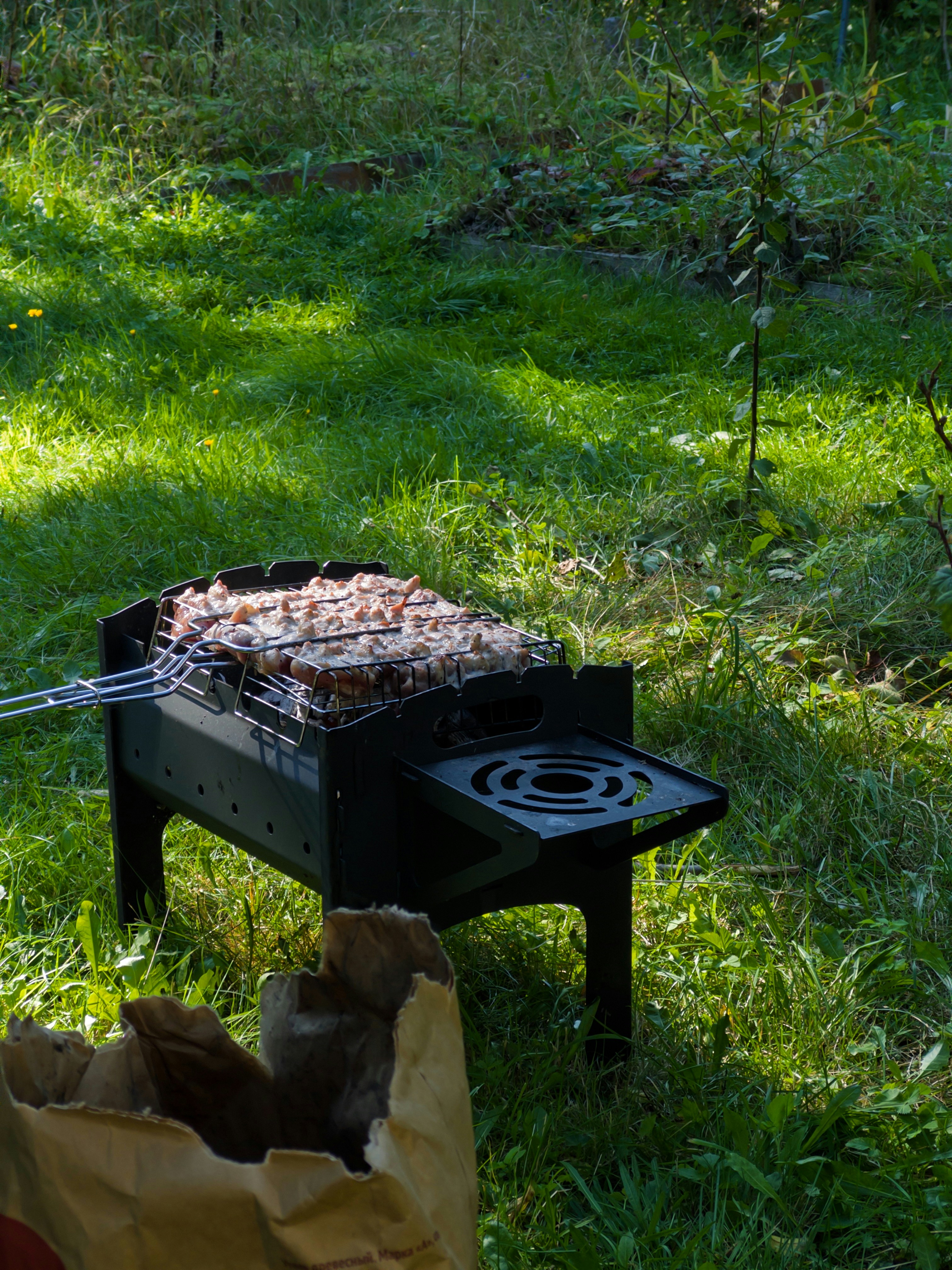 Grilling Delights: A Backyard Feast in the Making