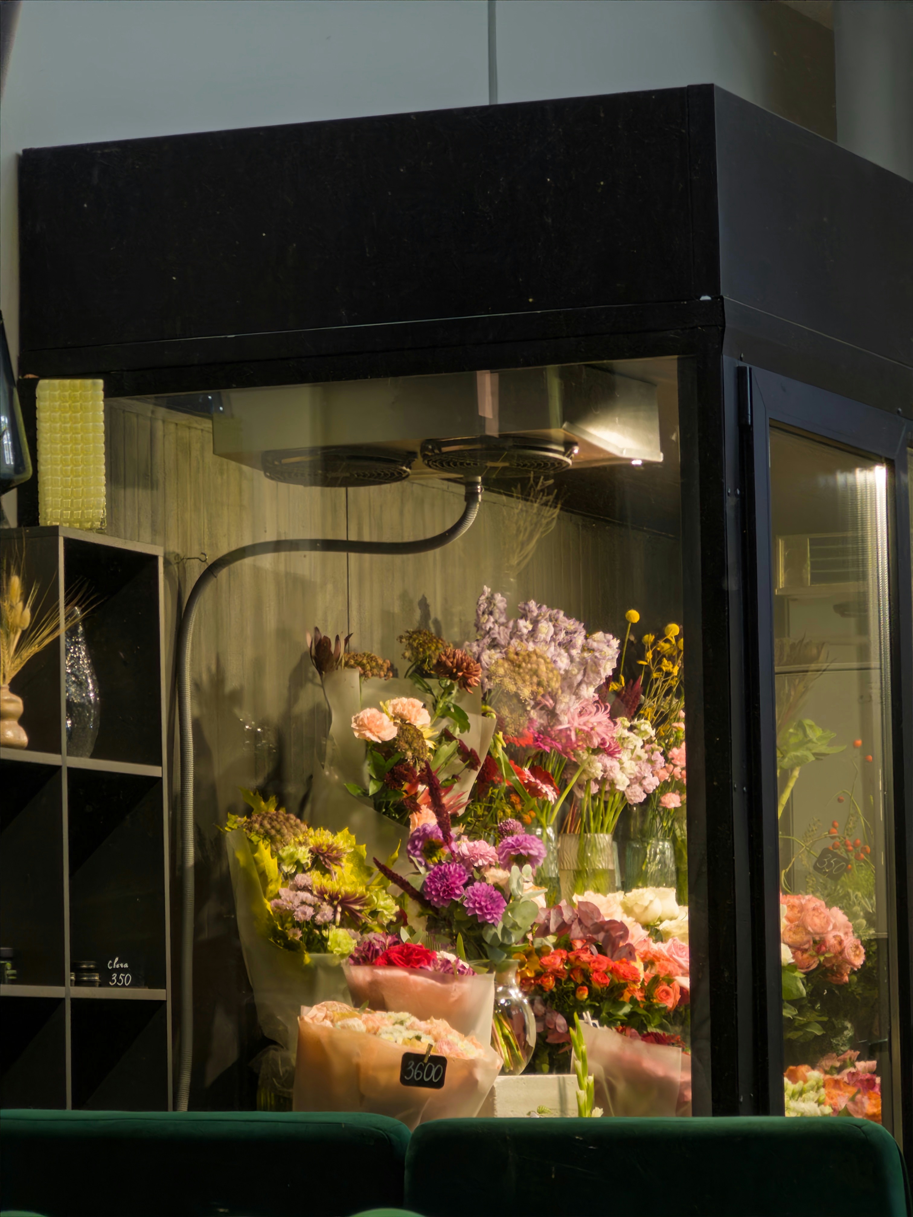 Glass-Front Bloom Window: Bouquets Illuminated in a Floral Fridge