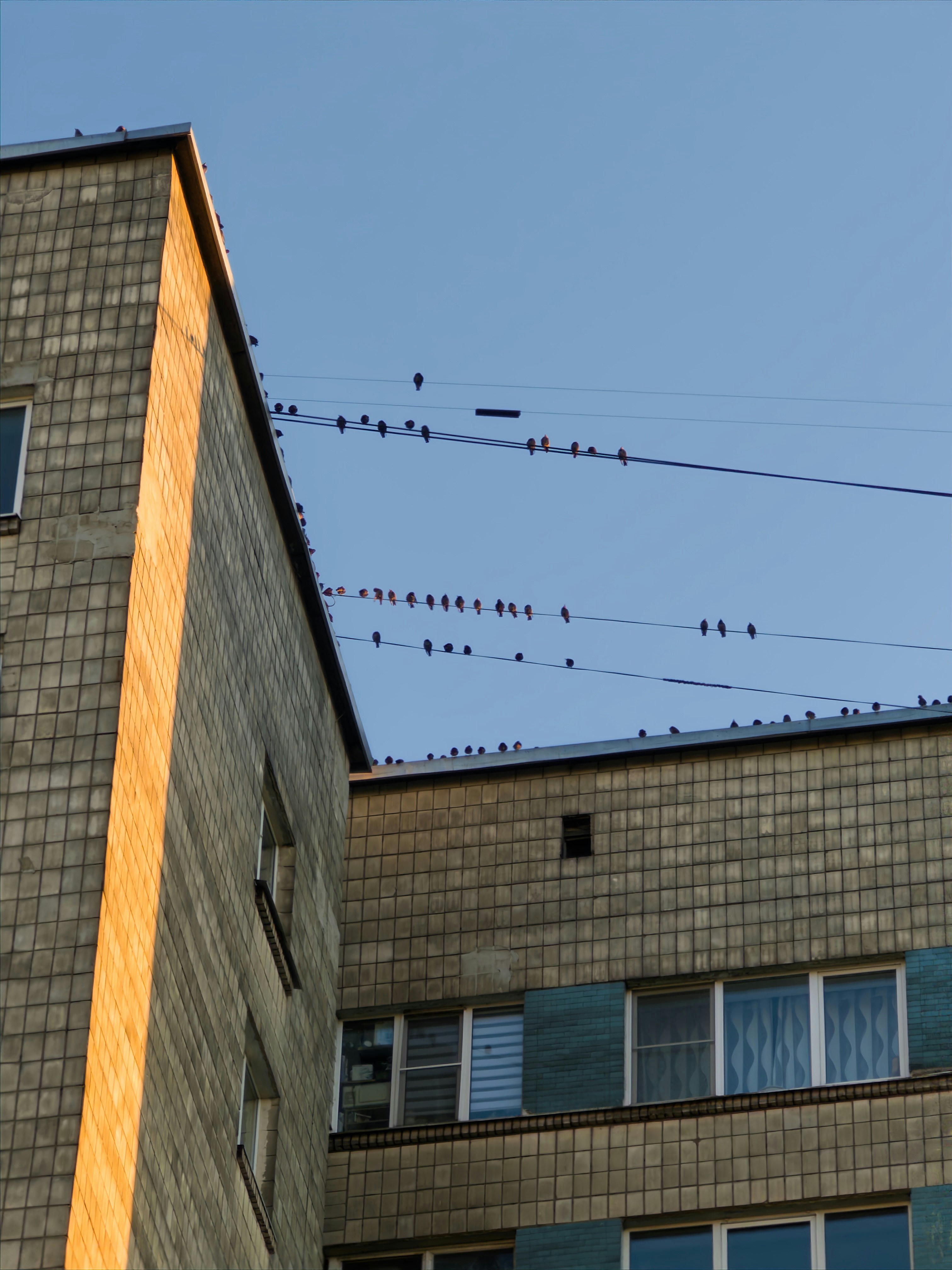 Urban Harmony: A Dance of Shadows and Silhouettes