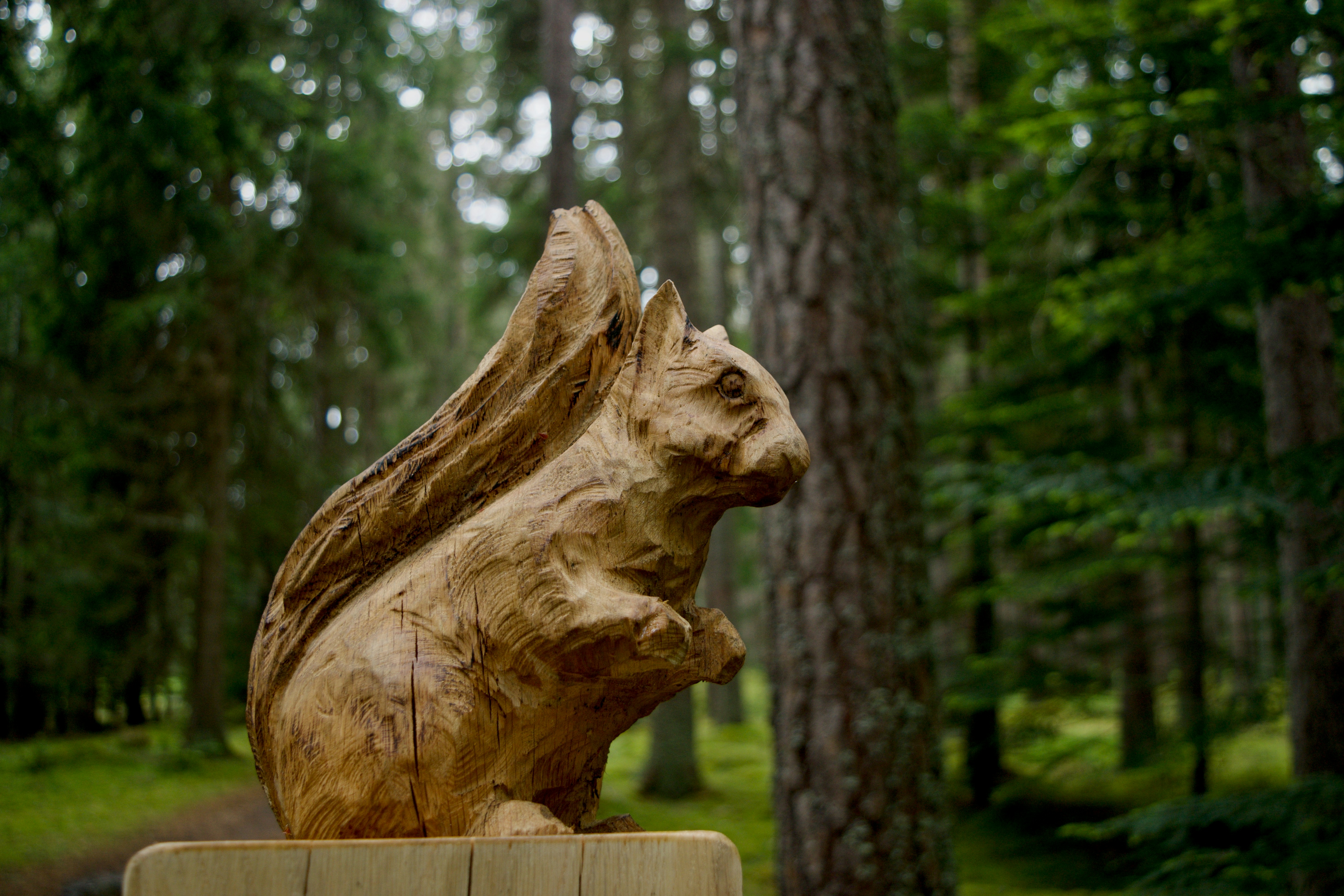 Whimsical Woodland Guardian: The Carved Squirrel