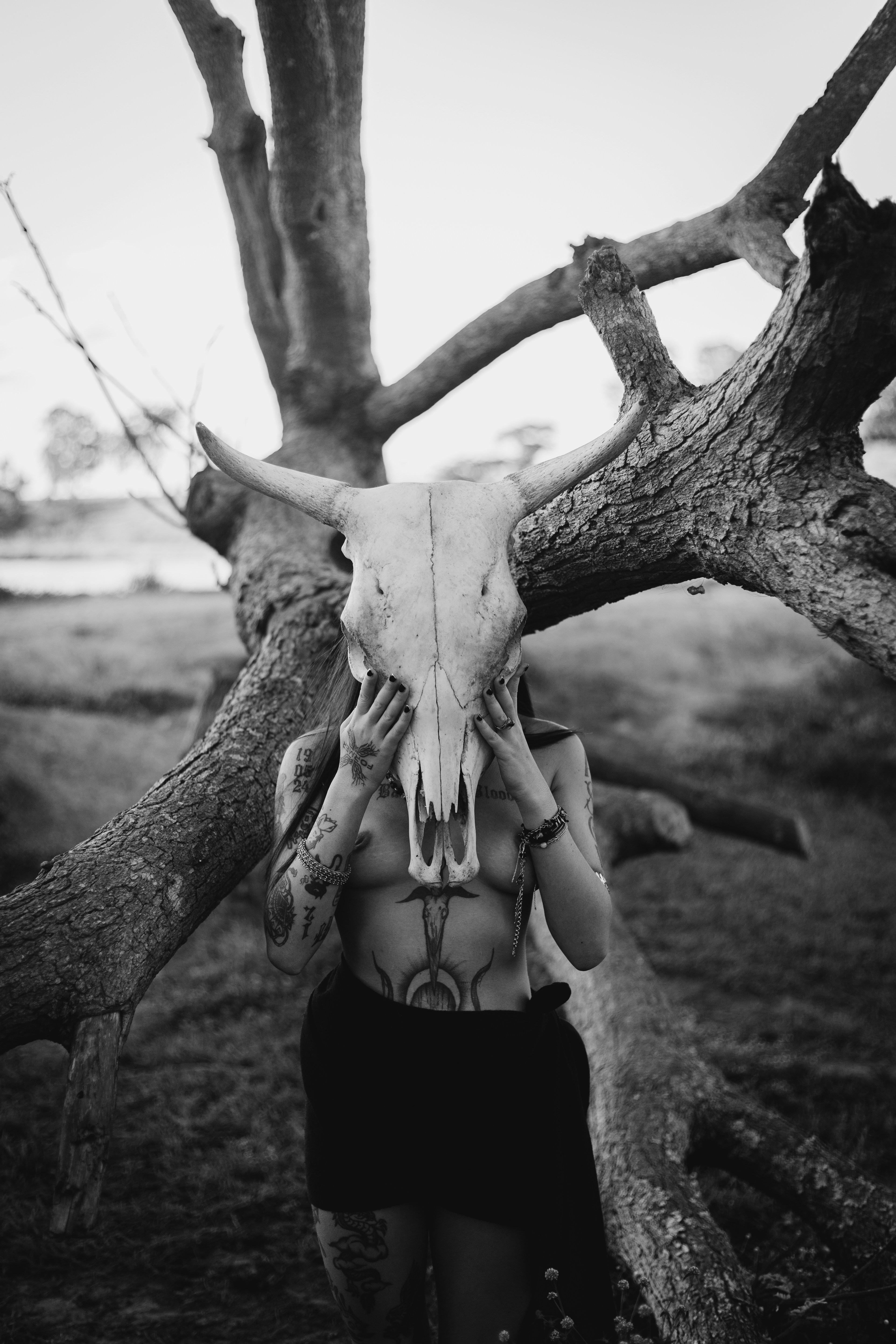 Echoes of Nature's Spirit