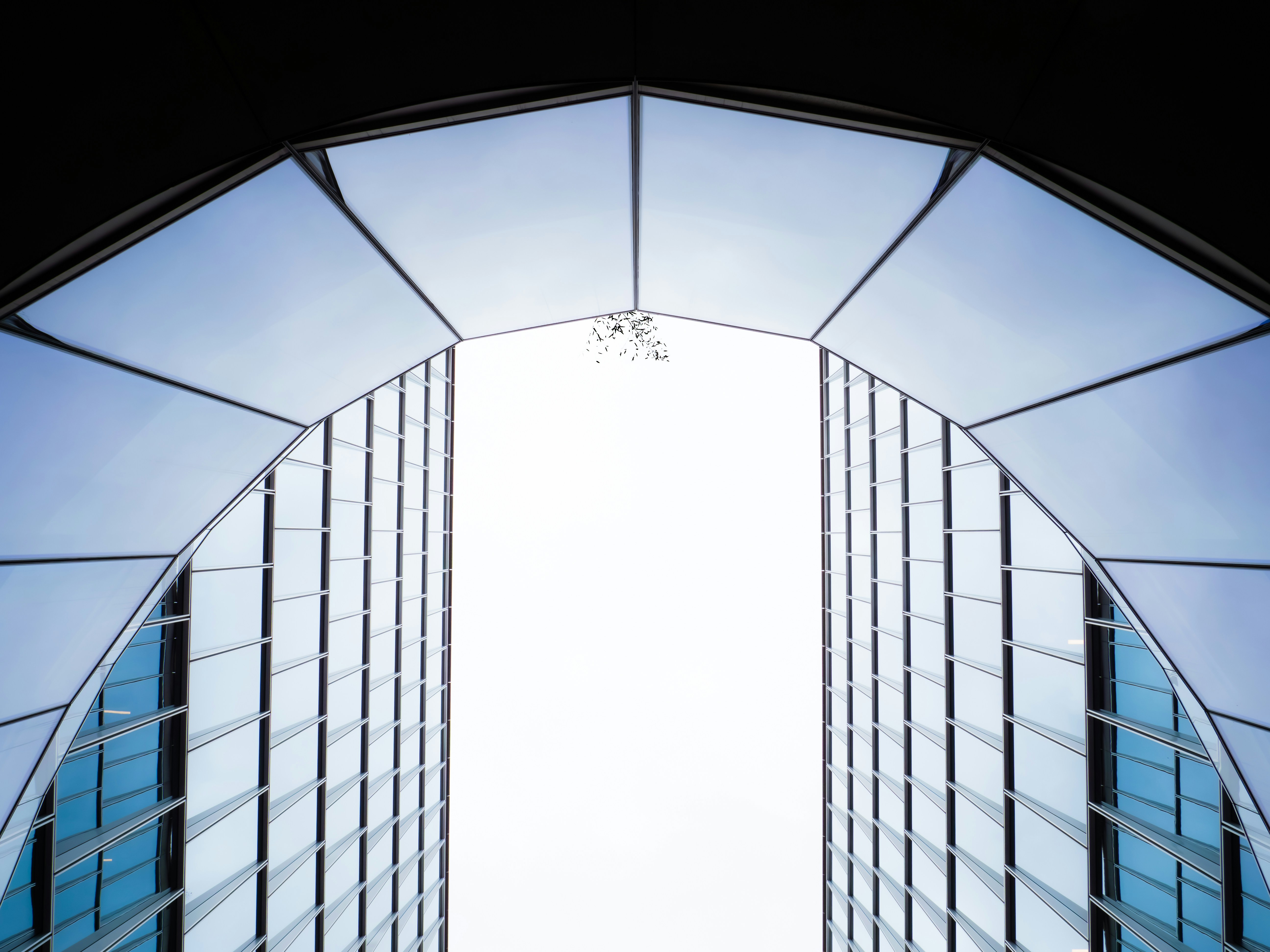 Modern architecture | Modern building with glass facade and archway