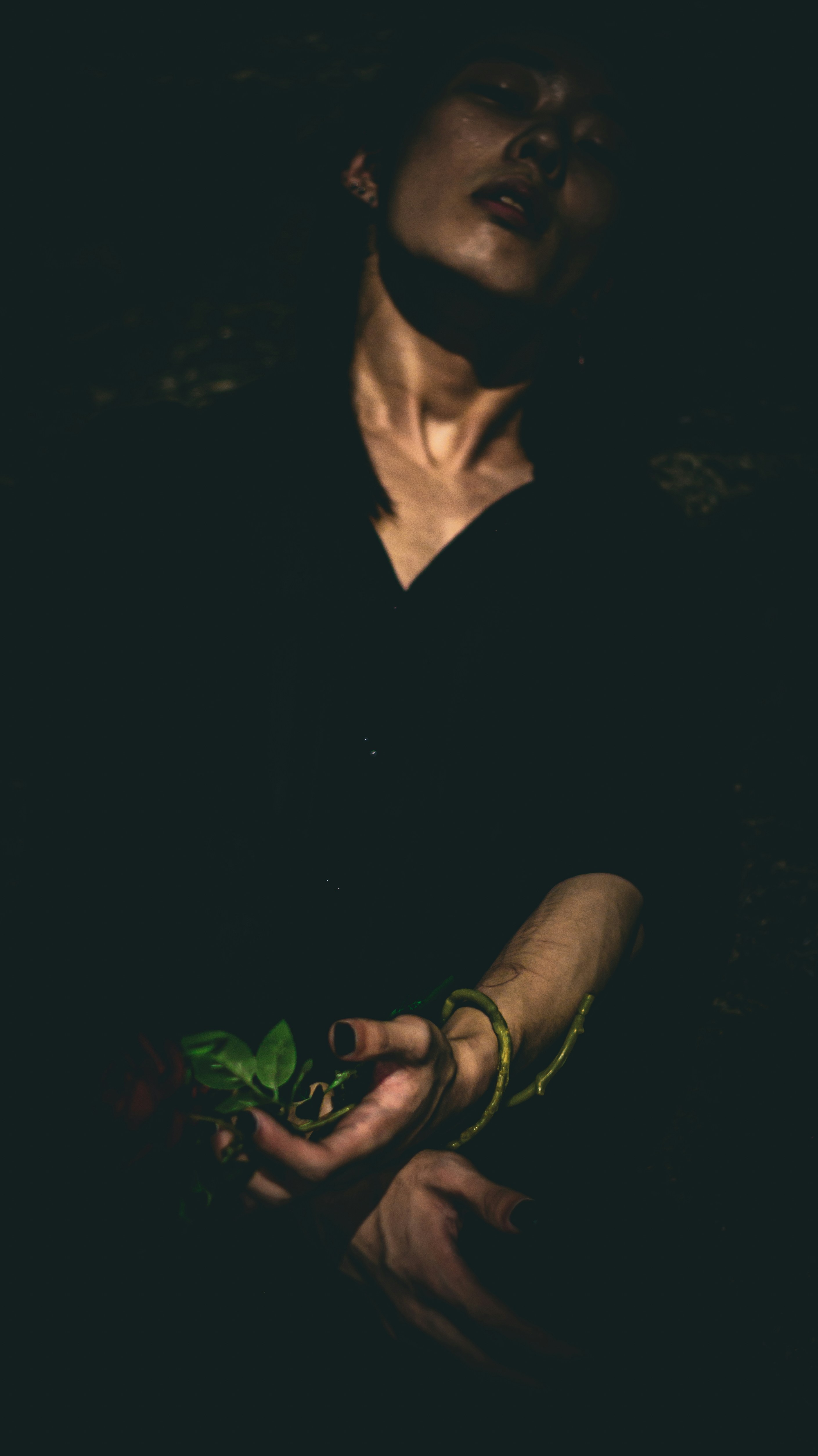 Whispers of Shadows and Blooms