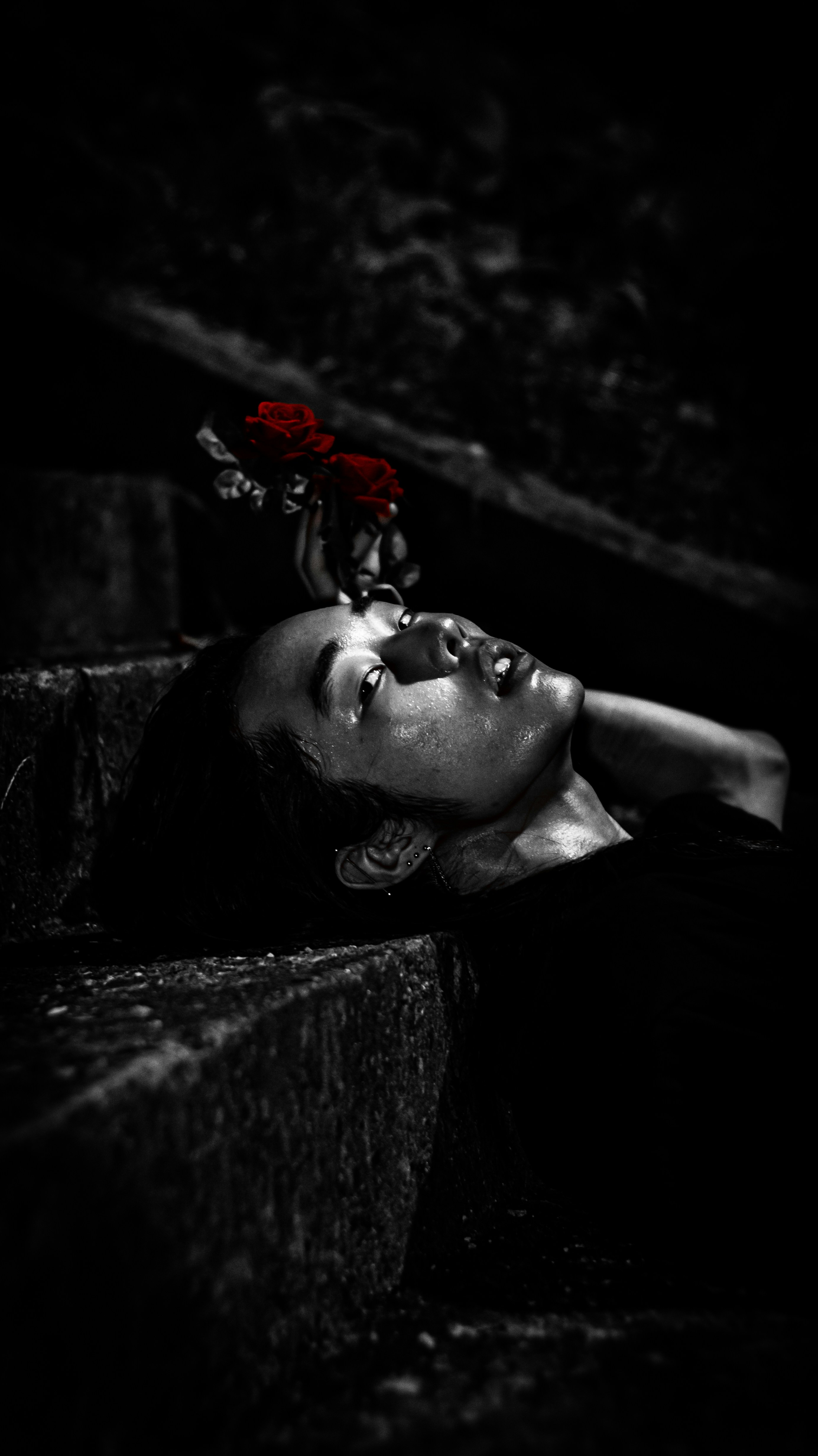 Whispers of a Rose in Shadows