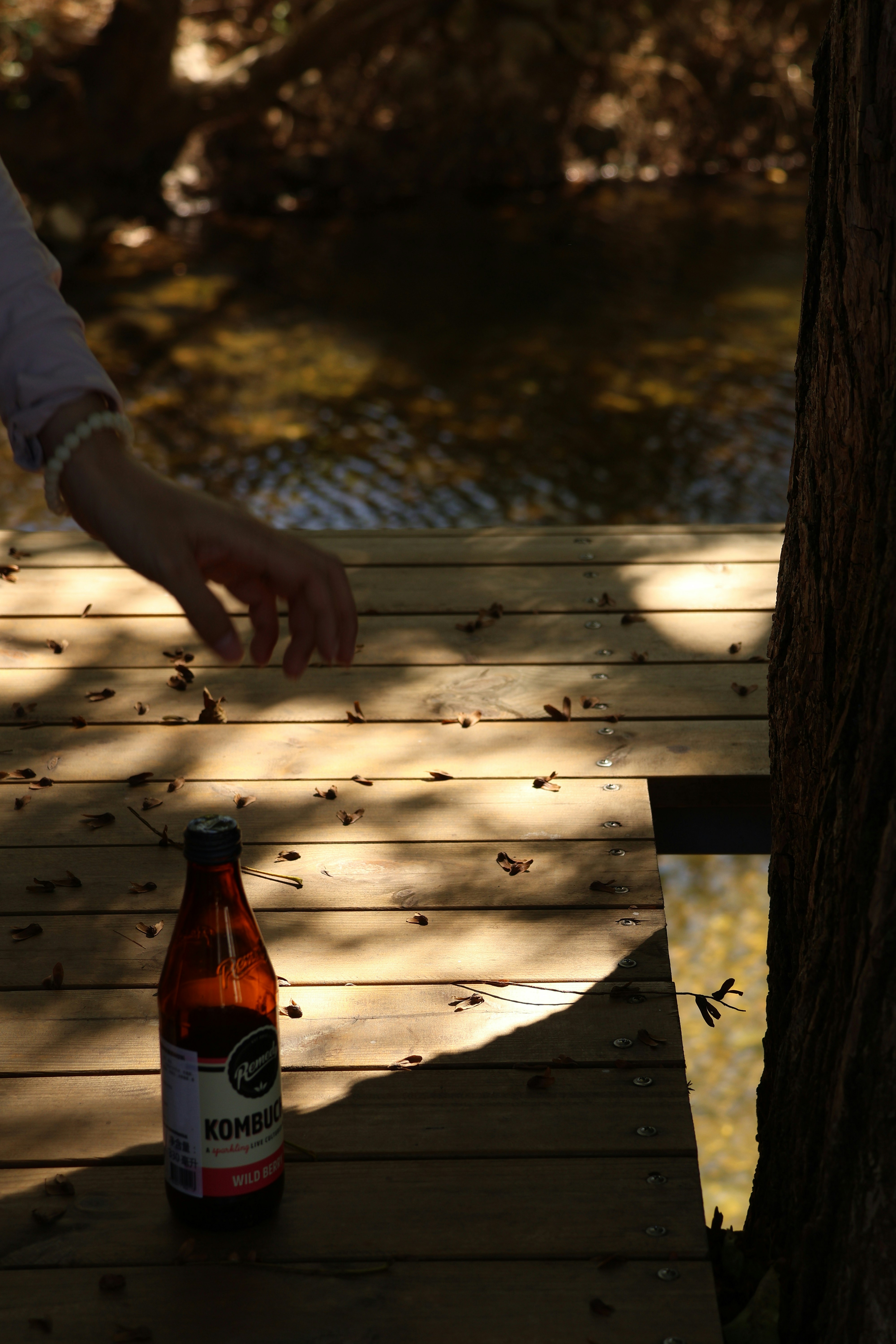 A Serene Moment by the Stream