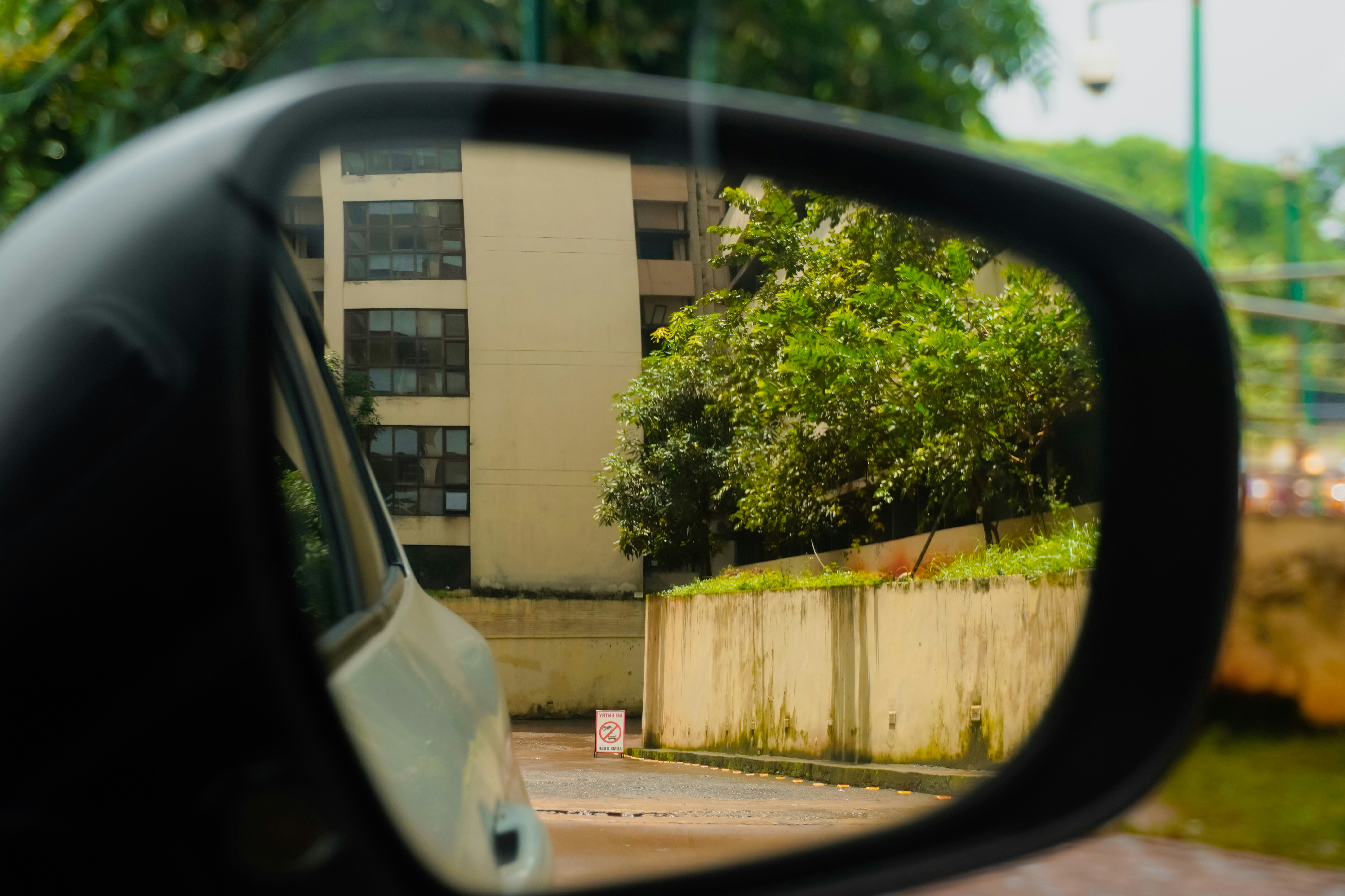 Reflections of Urban Serenity