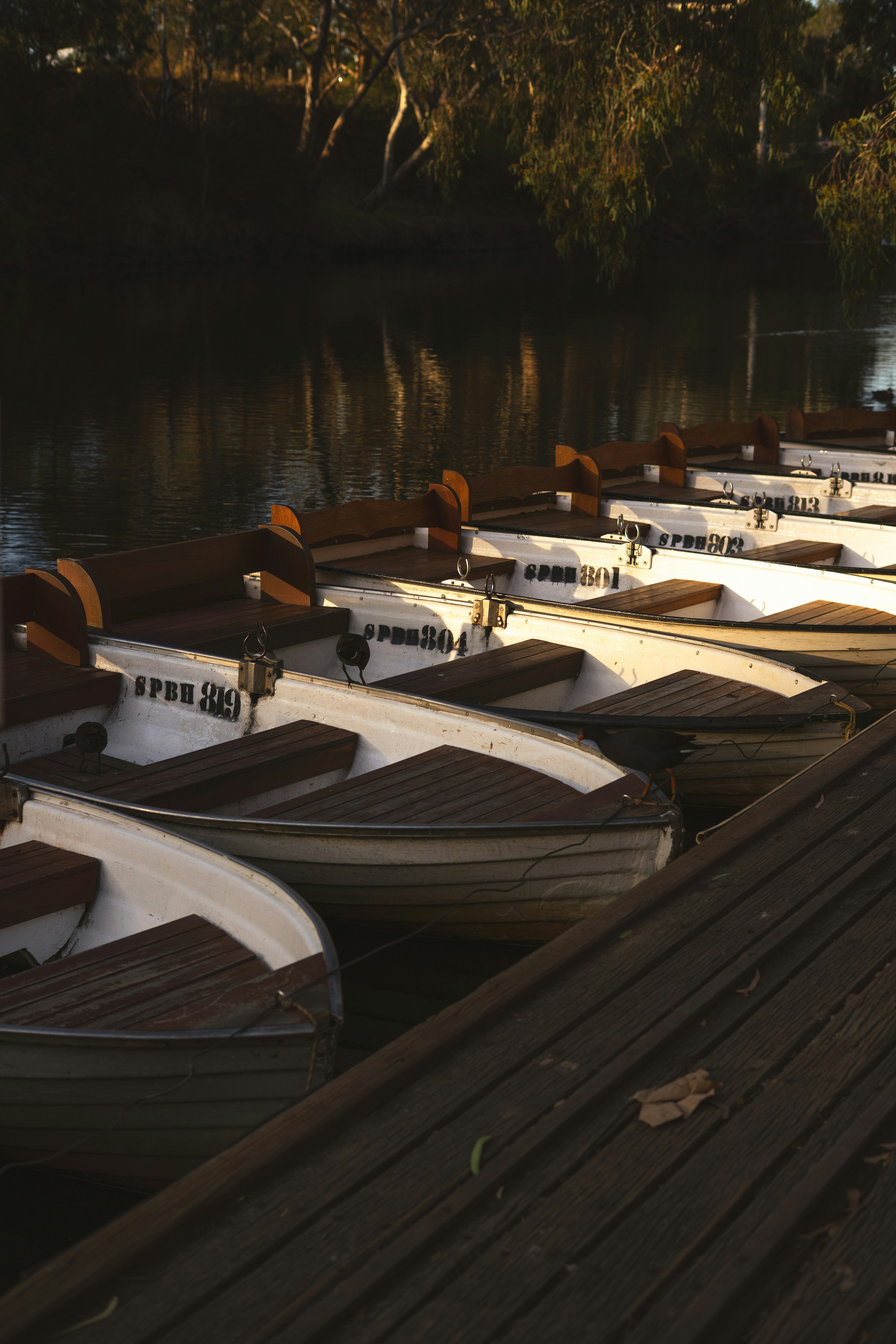 Serenity at the Dock: A Row of Tranquil Boats