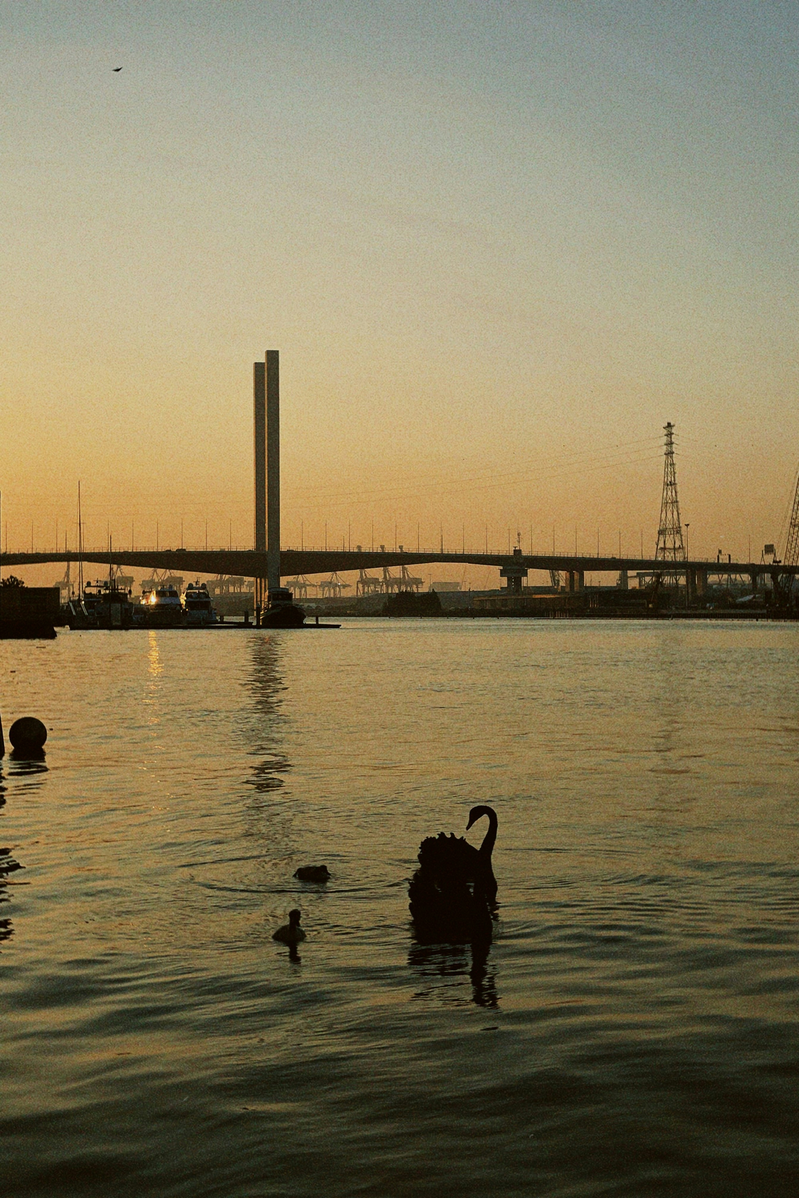 Silhouettes at Dusk: A Serene Waterway Scene