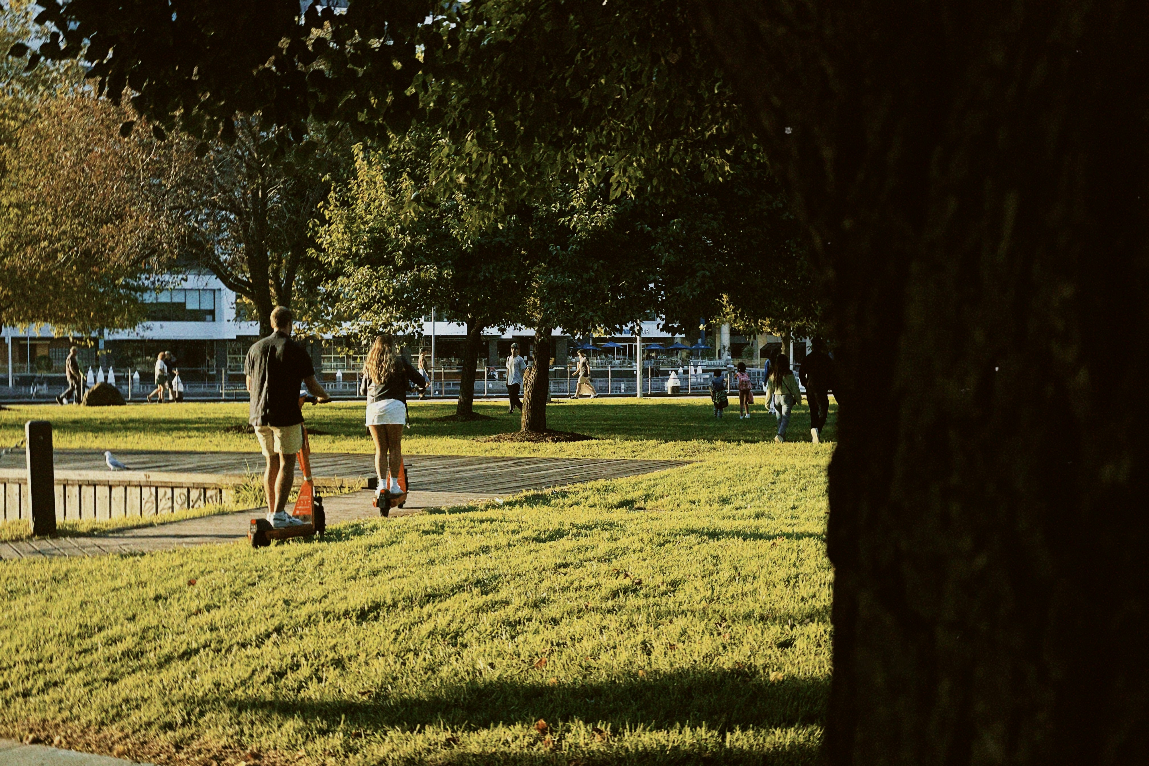 Two people riding electric scooters in a park.