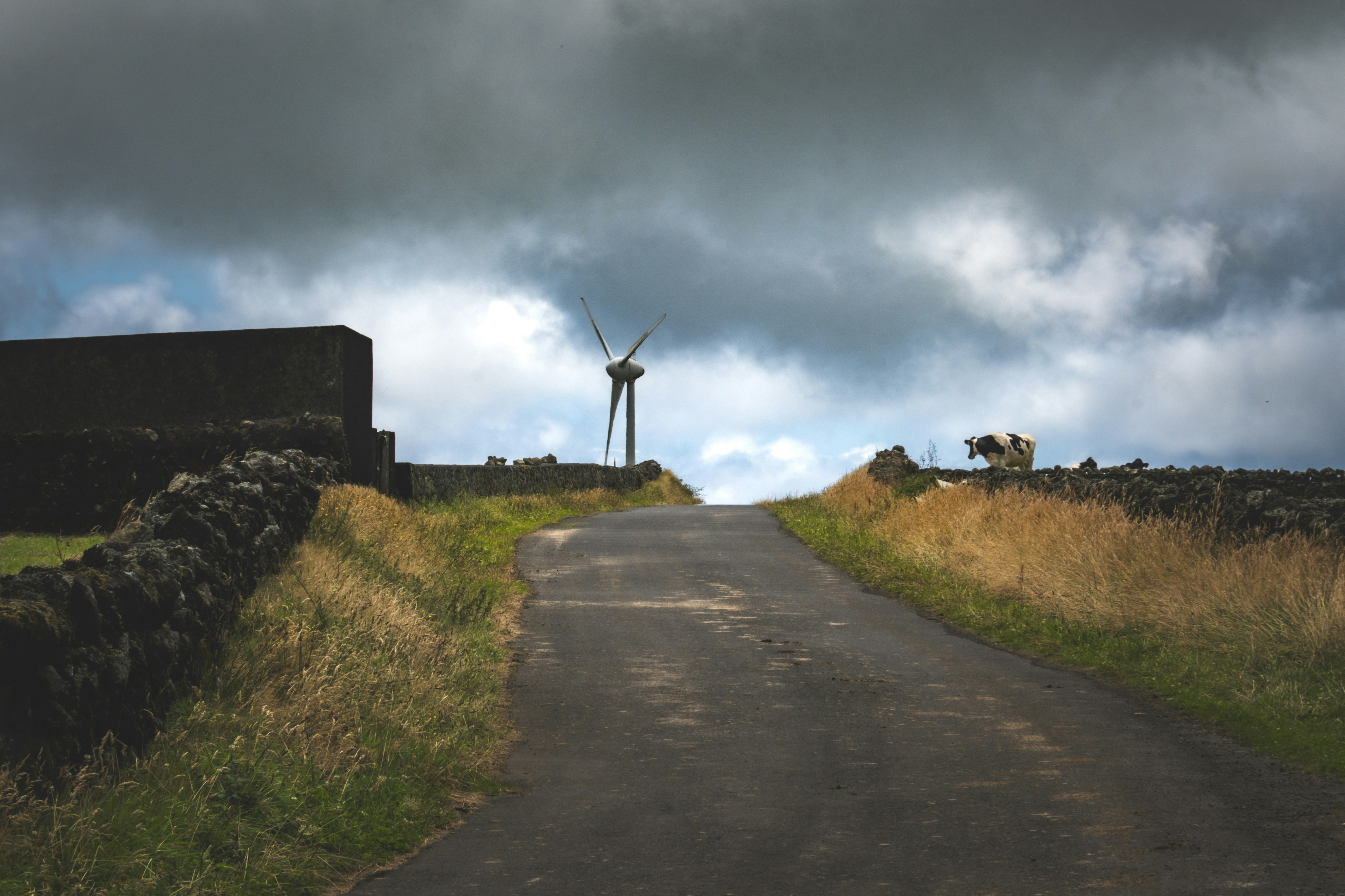 Pathway to the Windmill: A Journey Through Rural Serenity