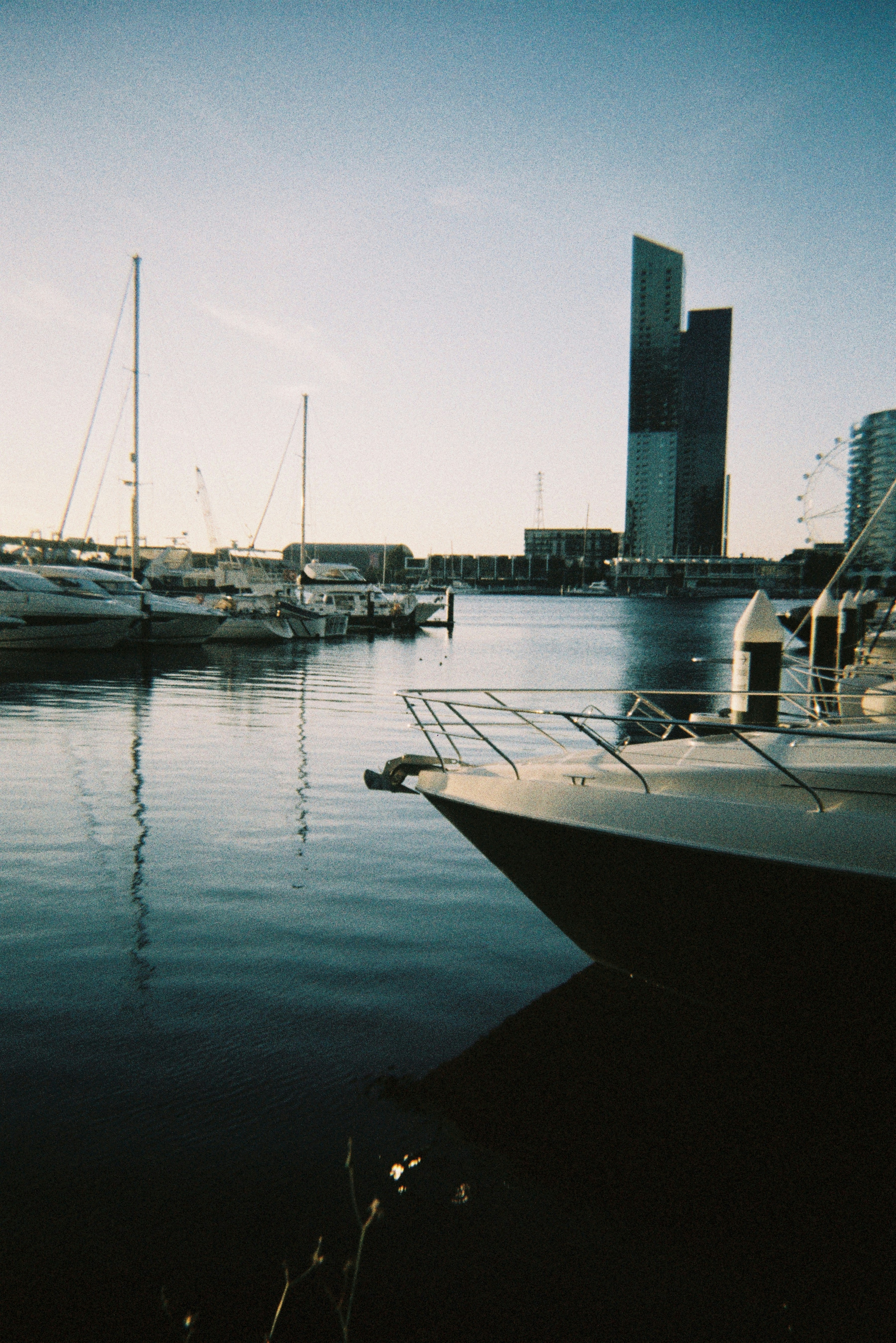 Boats docked in a harbor with city skyline.