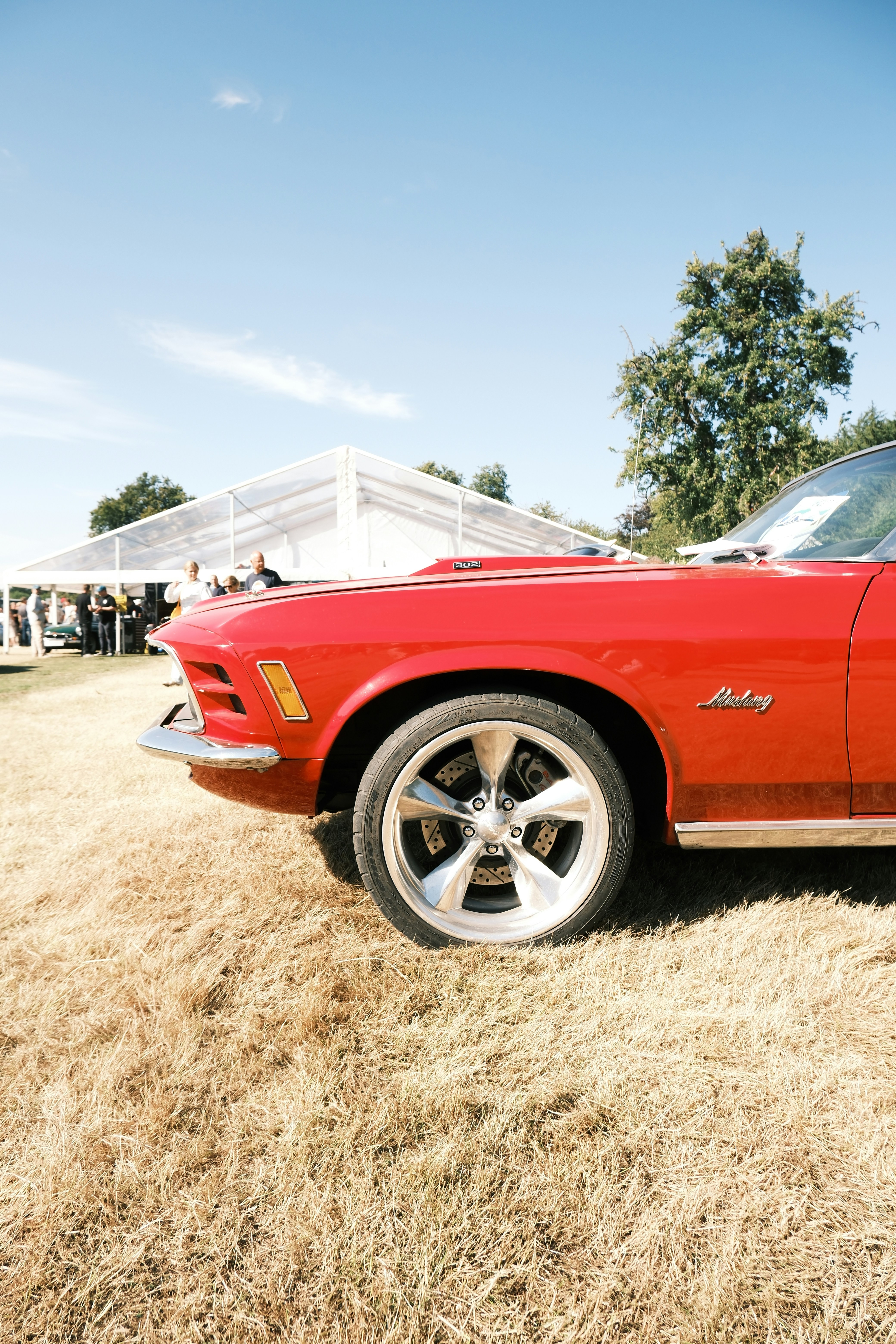 The Resilient Classic: A Mustang's Timeless Charm