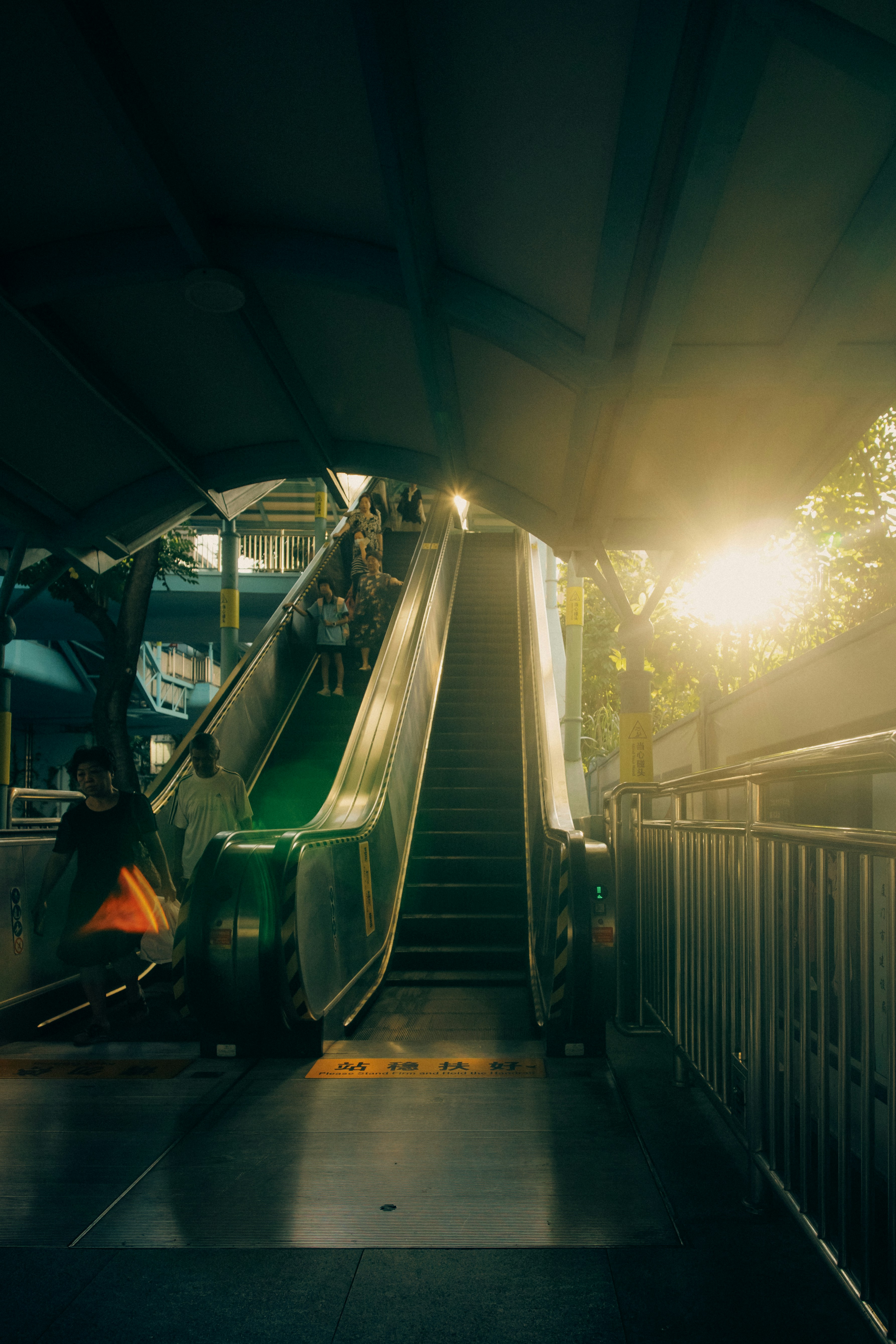 Urban Ascent: A Journey Through Light and Motion