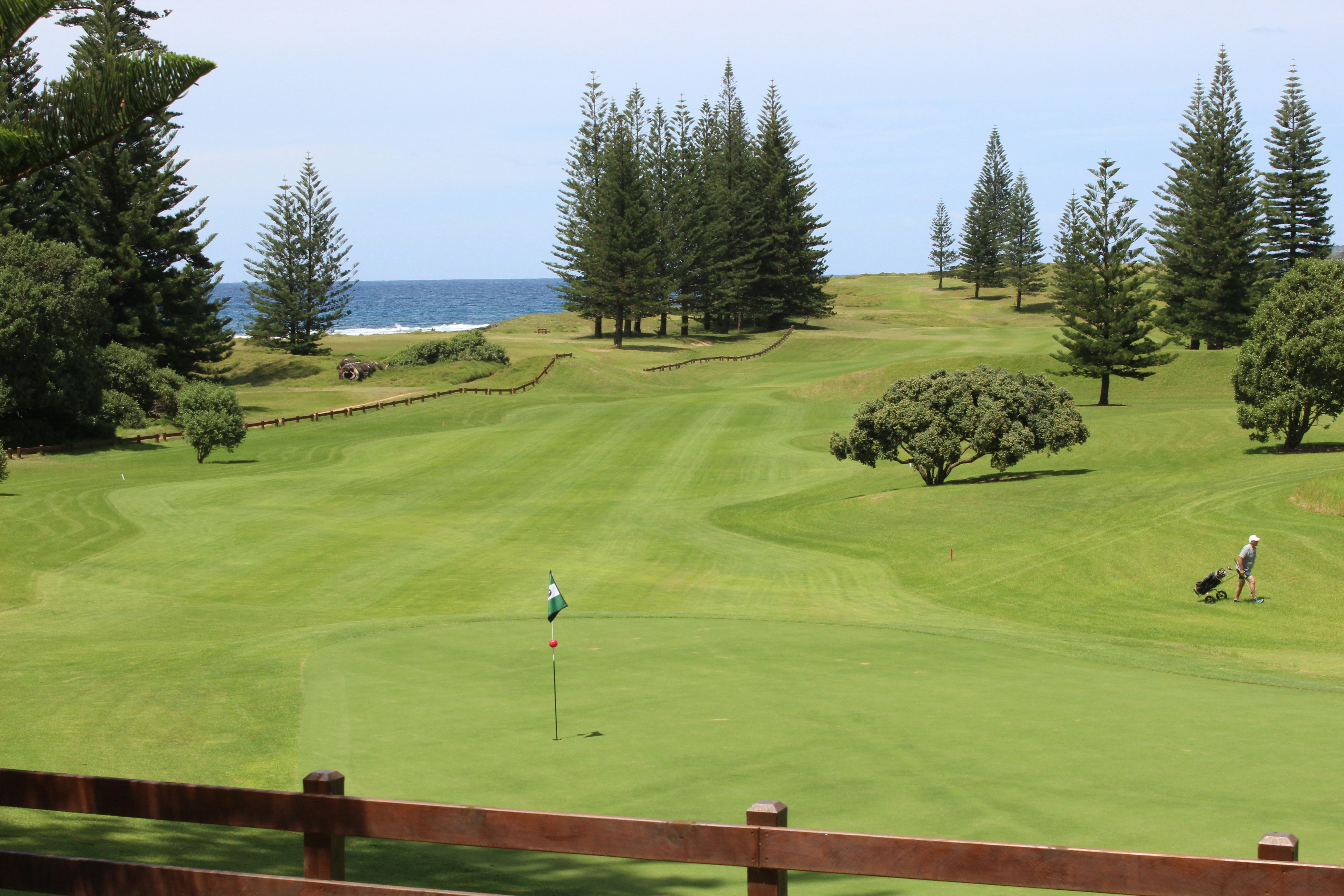 Golf course with ocean view and golfer photo – Free Norfolk island ...