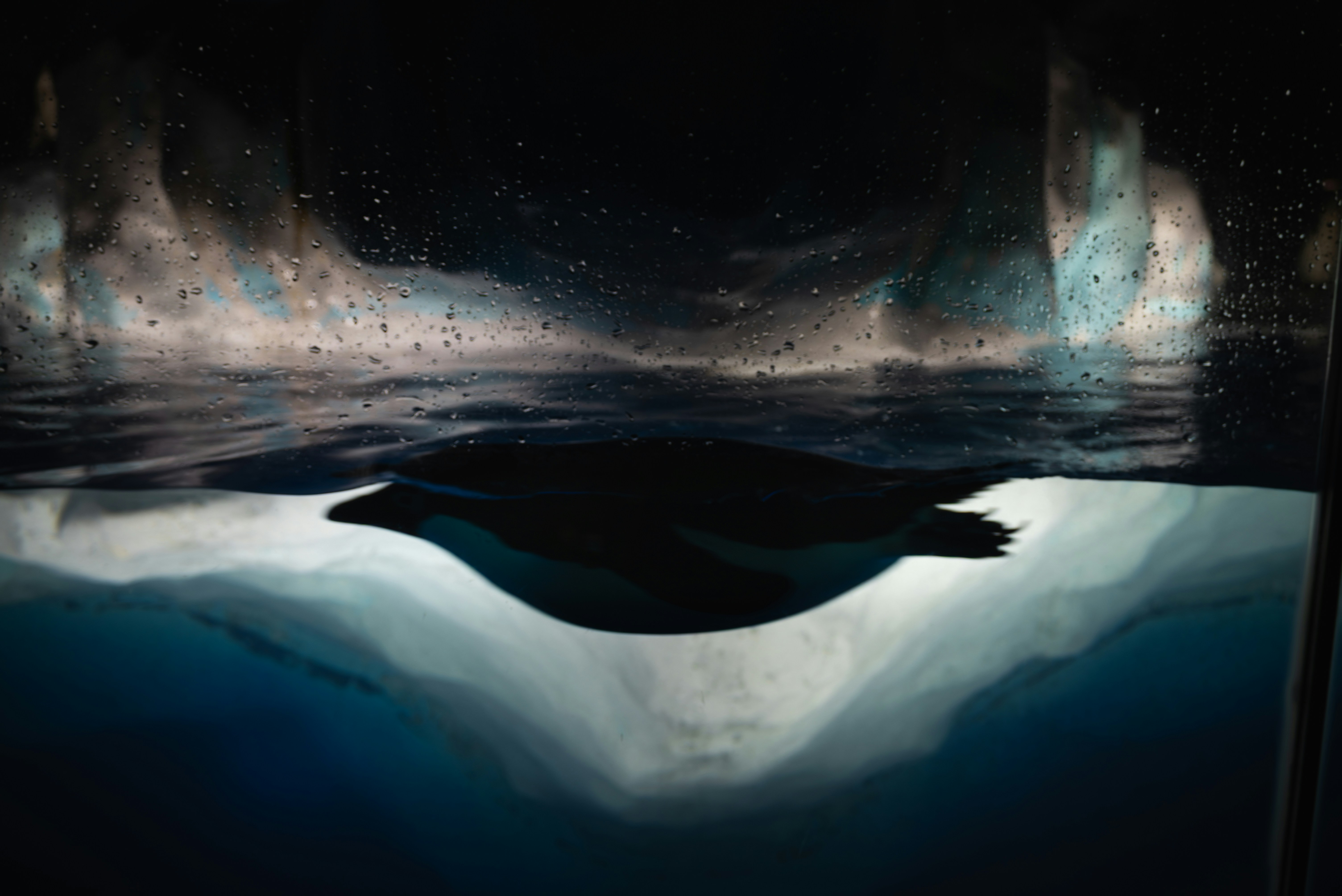 A silhouette of a penguin gliding just below the water's surface, surrounded by shimmering droplets and ethereal reflections of ice above.