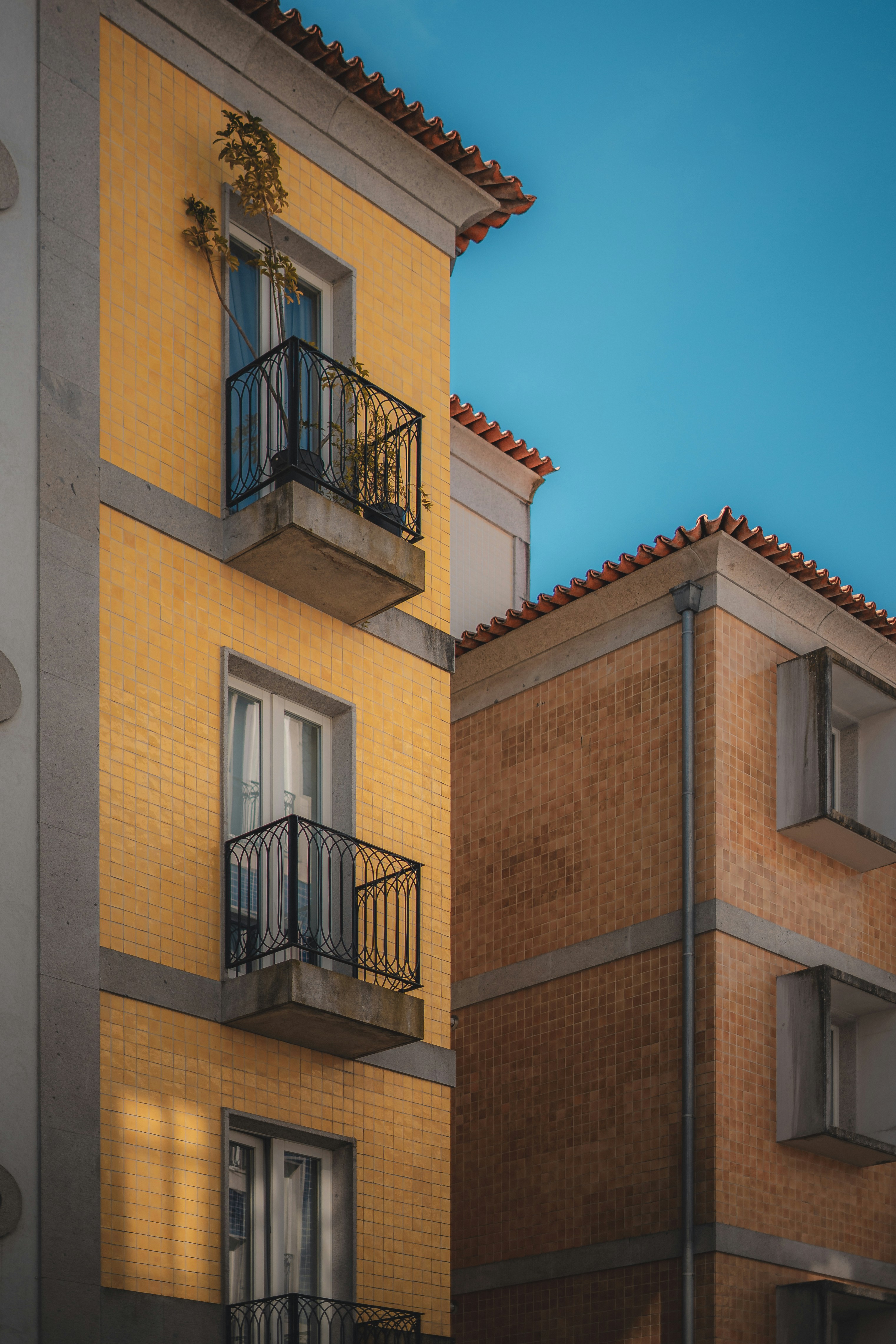 Golden Facades: Urban Harmony in Color