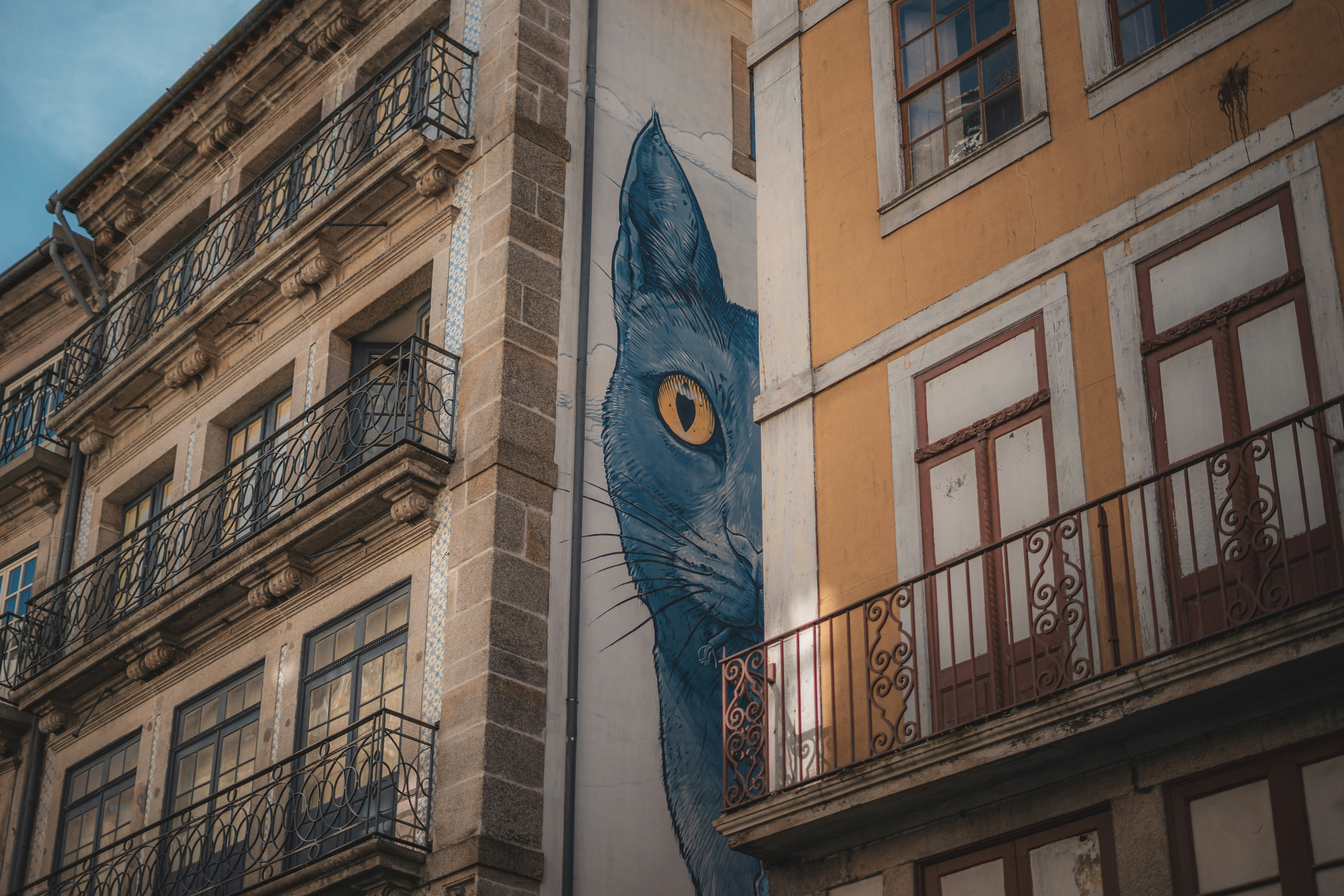Blue Gaze on the Facades: A Giant Cat Eye mural Between Buildings