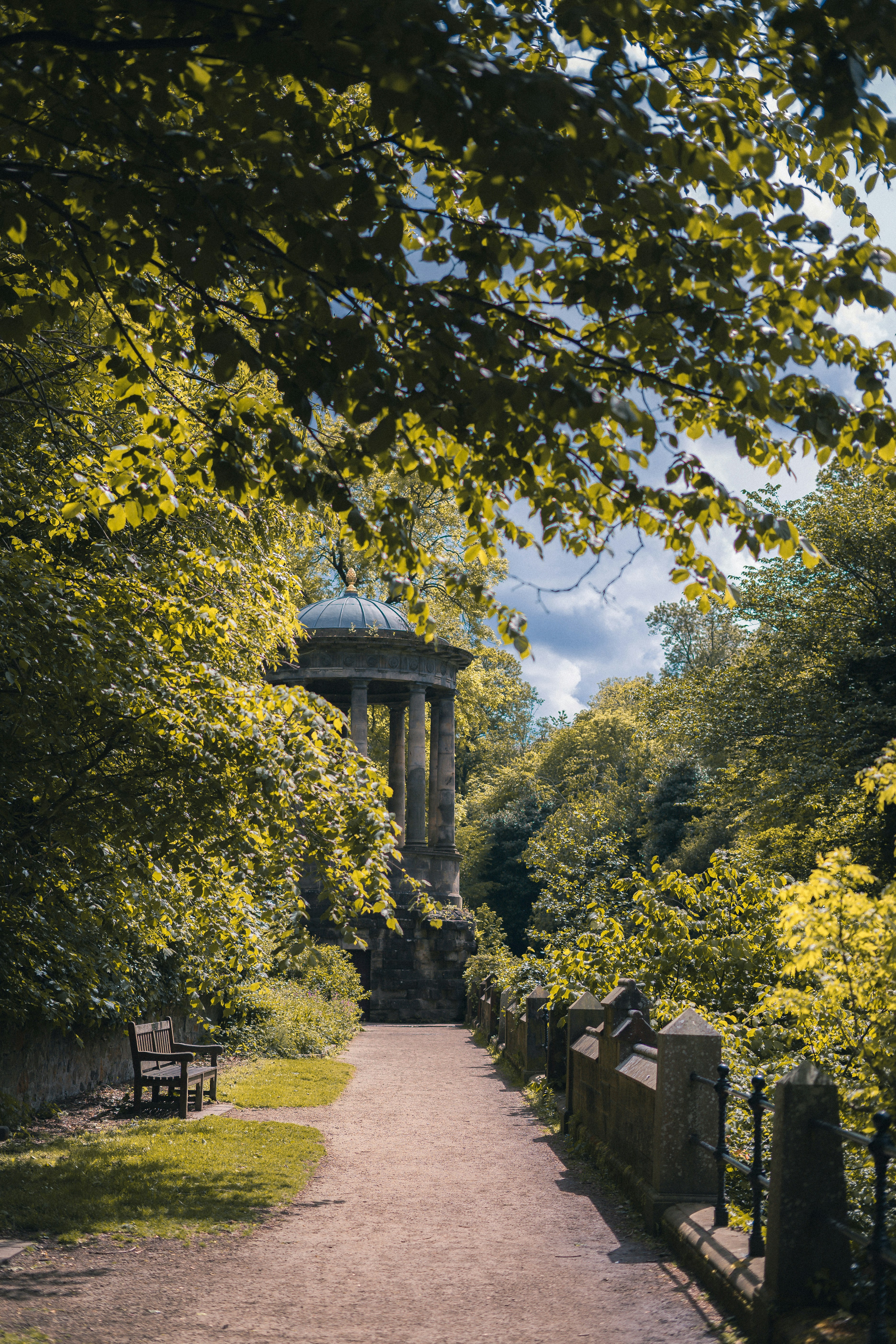 Whispers of Nature: The Forgotten Pathway