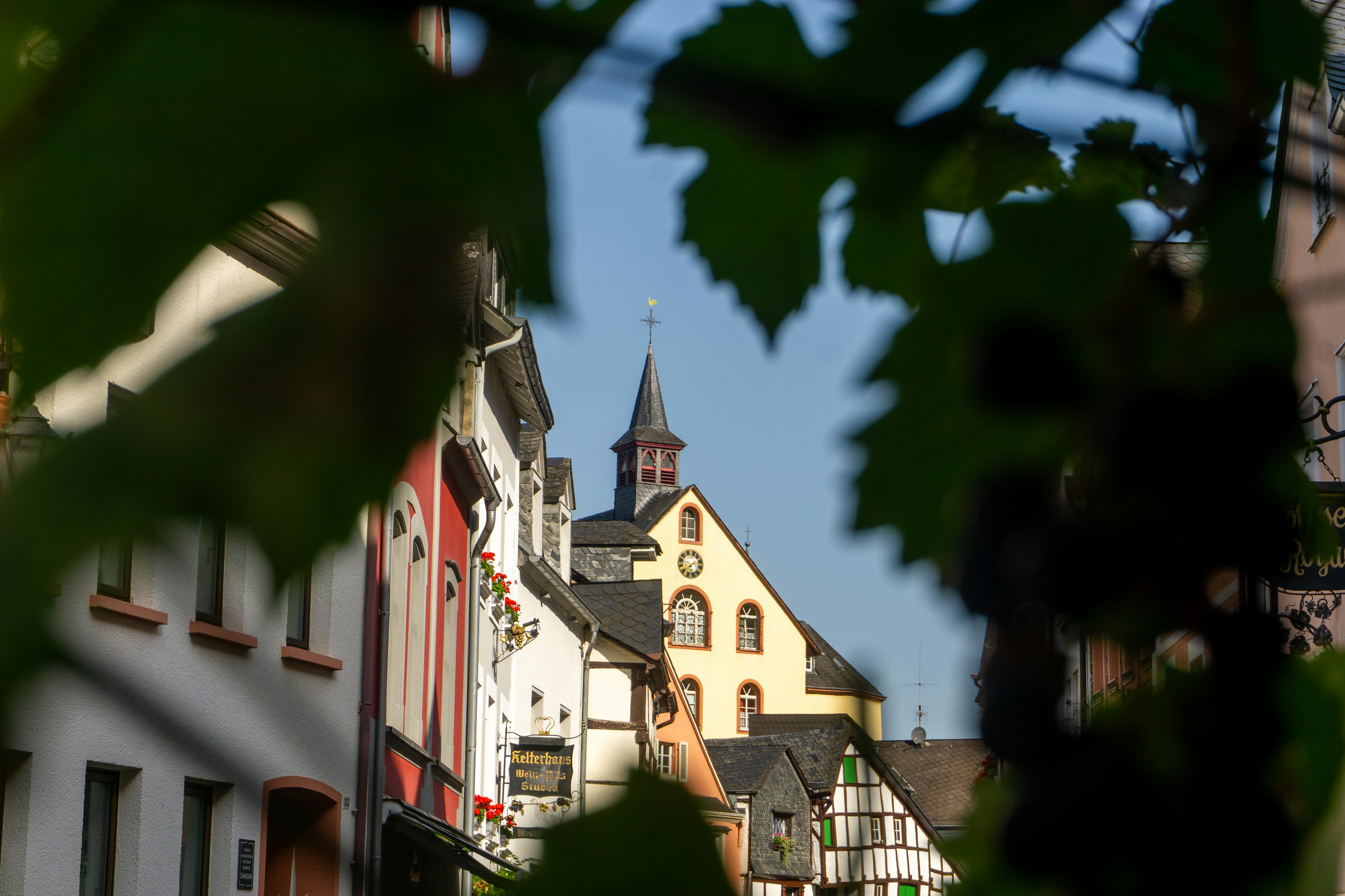Charming European architecture framed by lush grapevines, revealing a quaint town square and a steeple in the background.