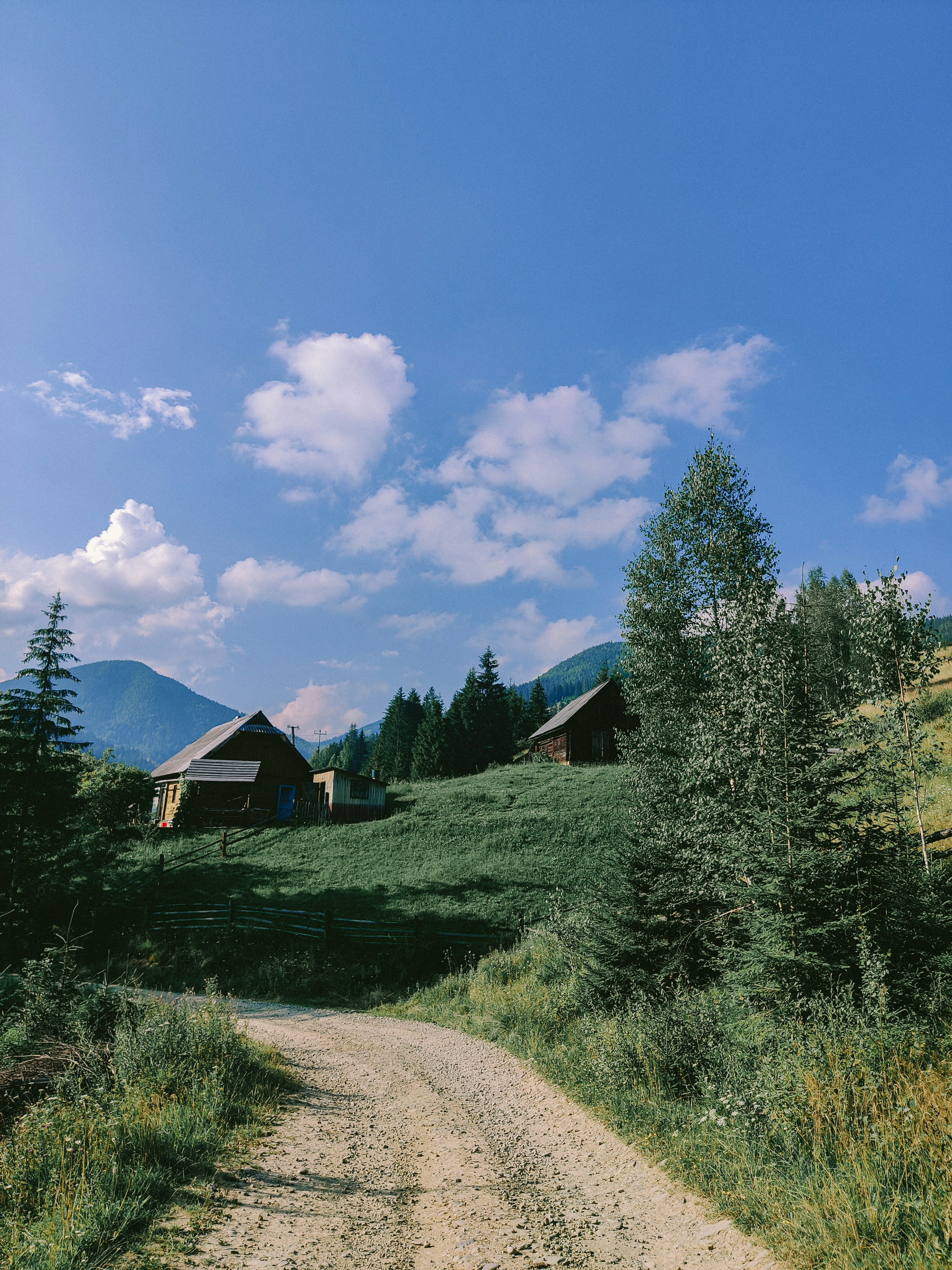 Moments of serenity in the wild. | Dirt road leads to wooden houses on grassy hill.