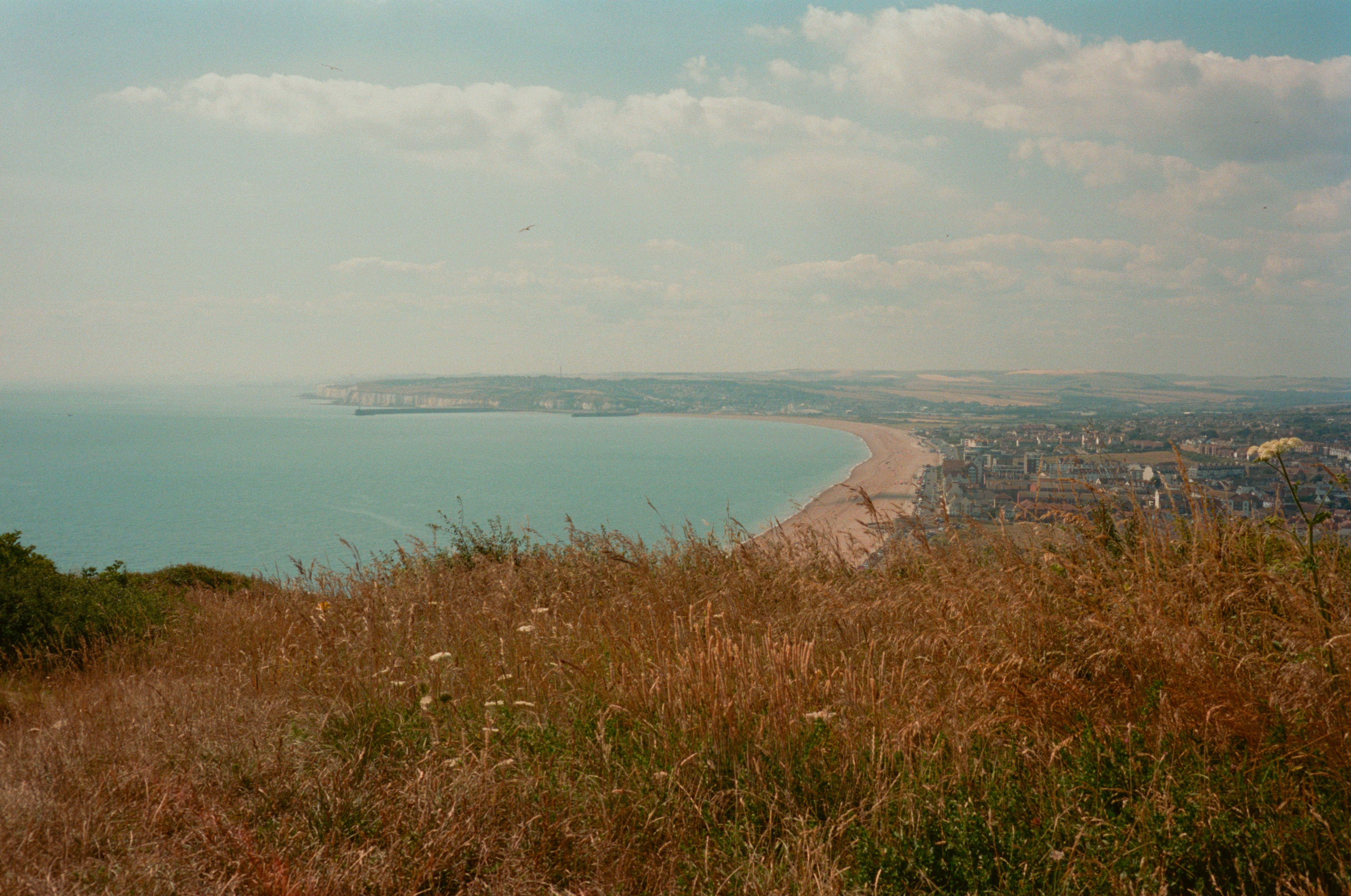 Golden grasses frame a serene coastal view, with a sweeping beach and distant town under a vast sky. The calm sea reflects the gentle clouds above.