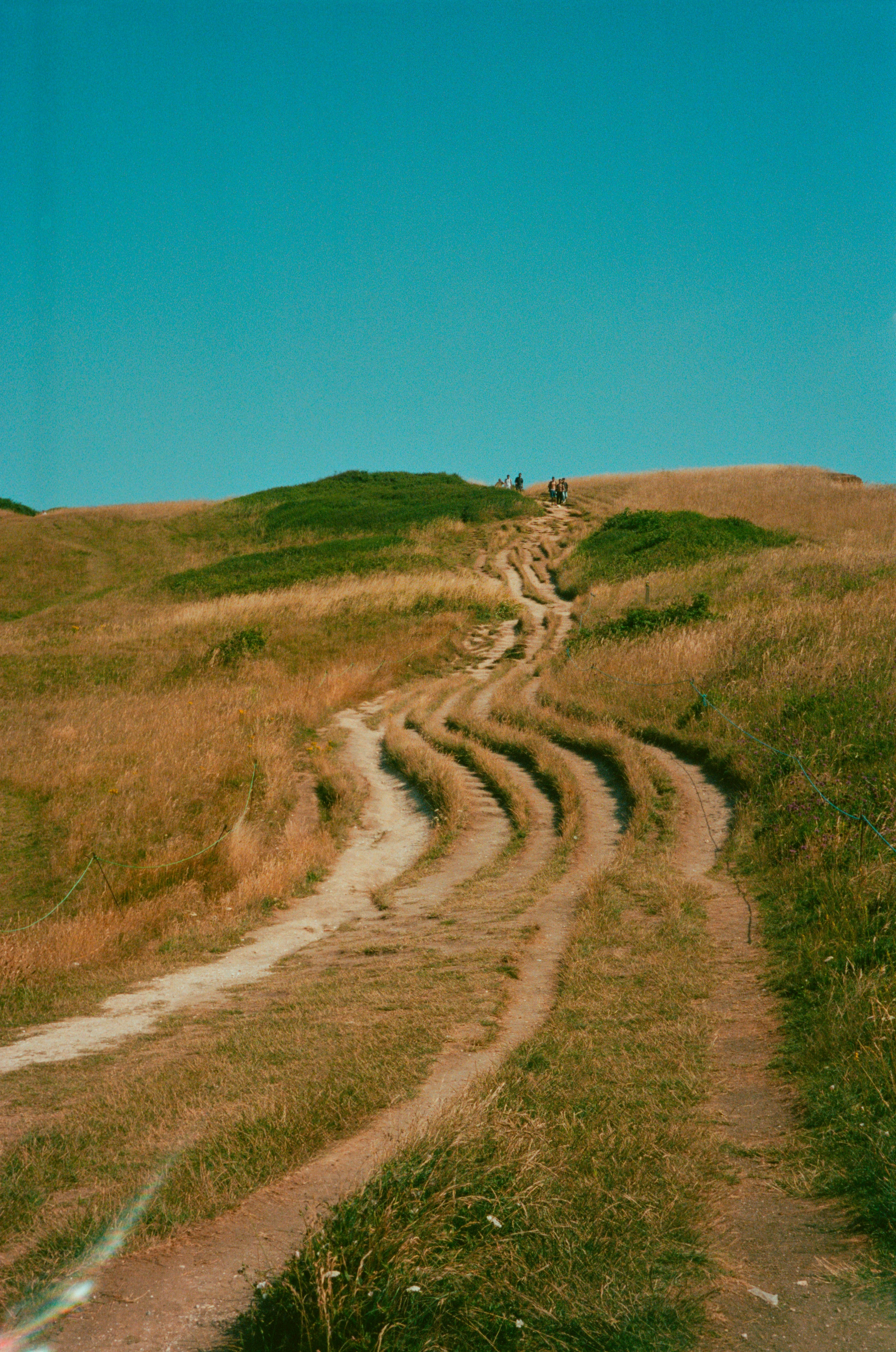 Golden summer trail, South Downs, England; midday serenity captured on film.