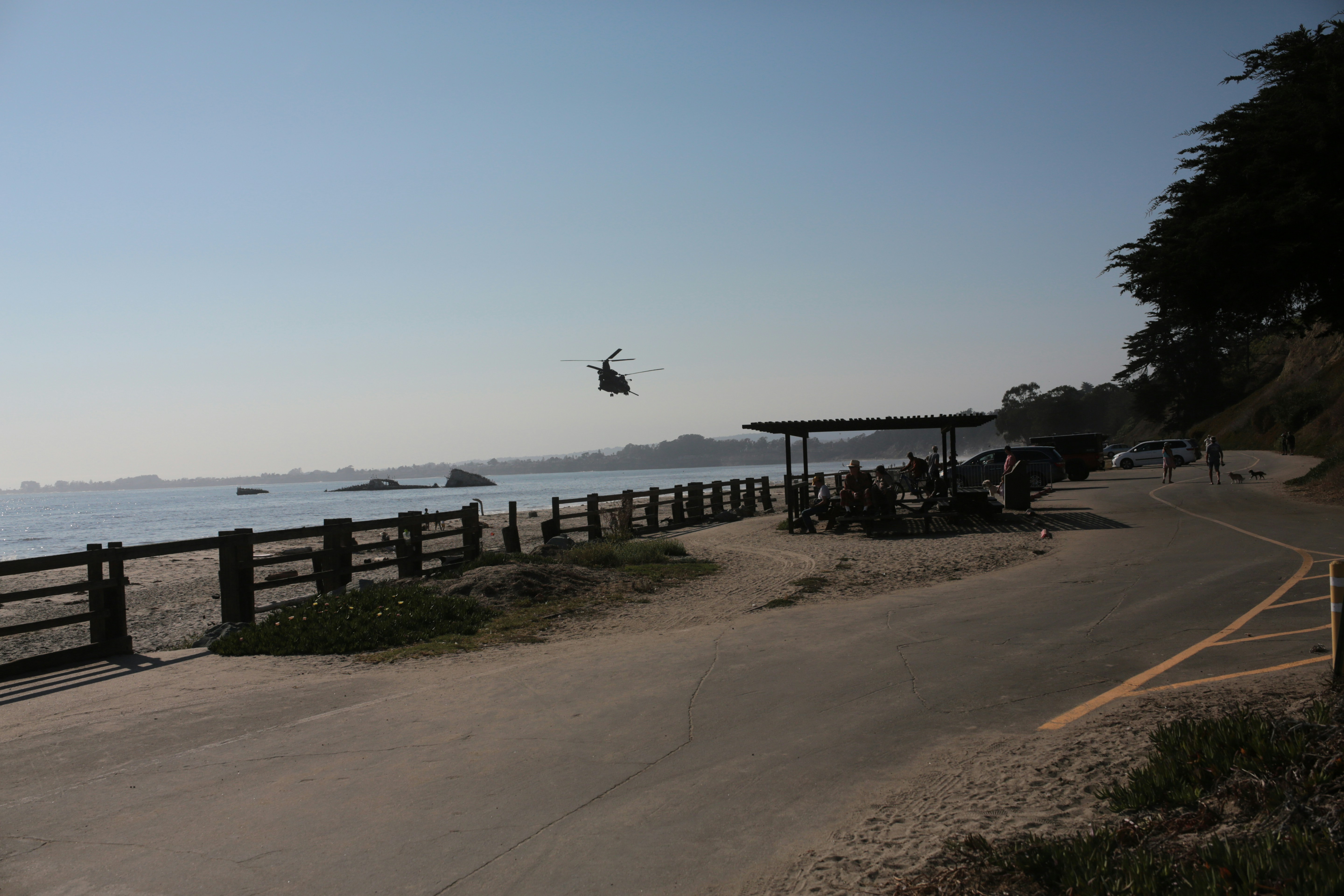A bird flies over a coastal road and beach.